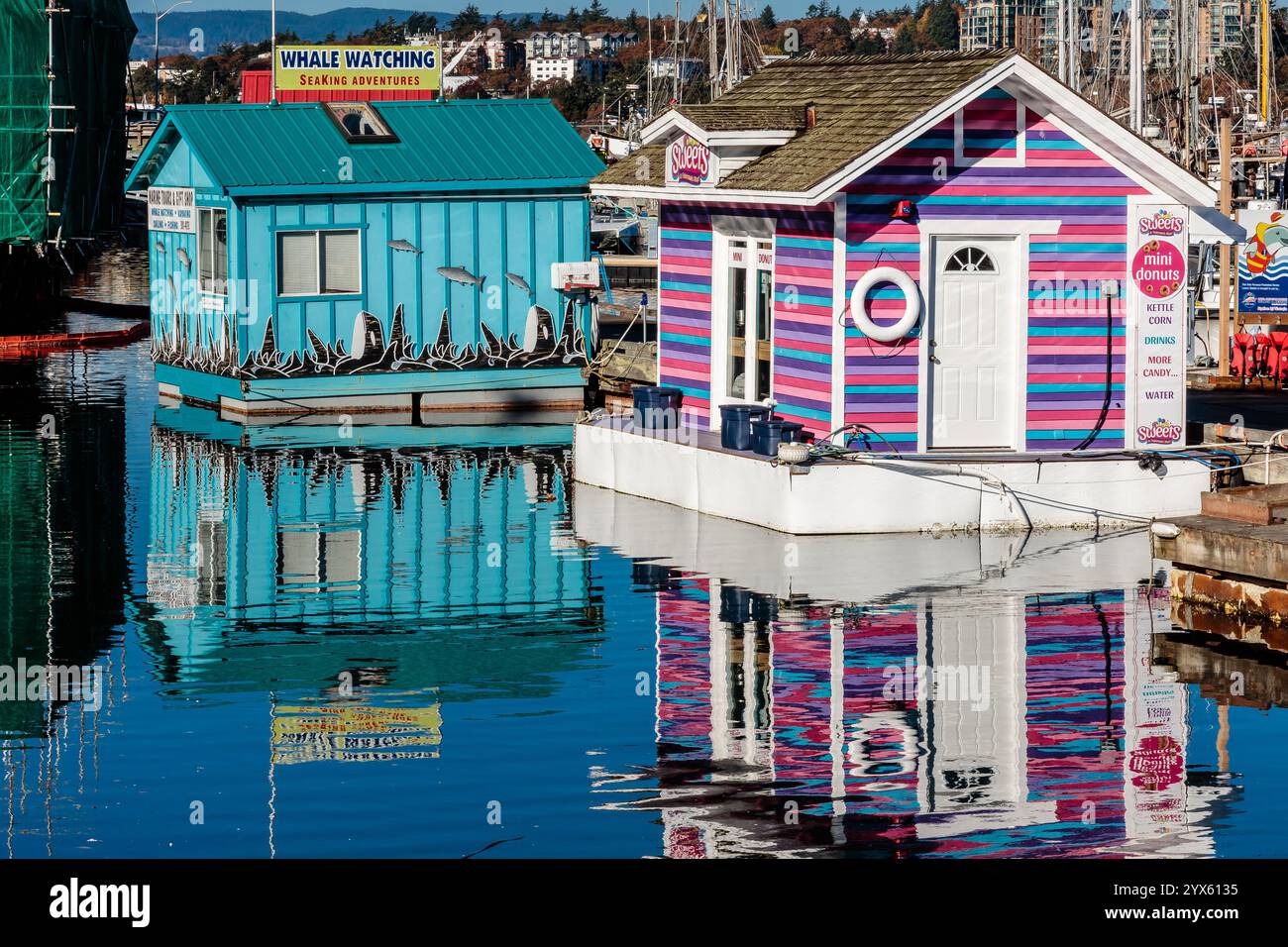 Two colorful houses are floating on the water. One is blue and the other is pink and purple ...