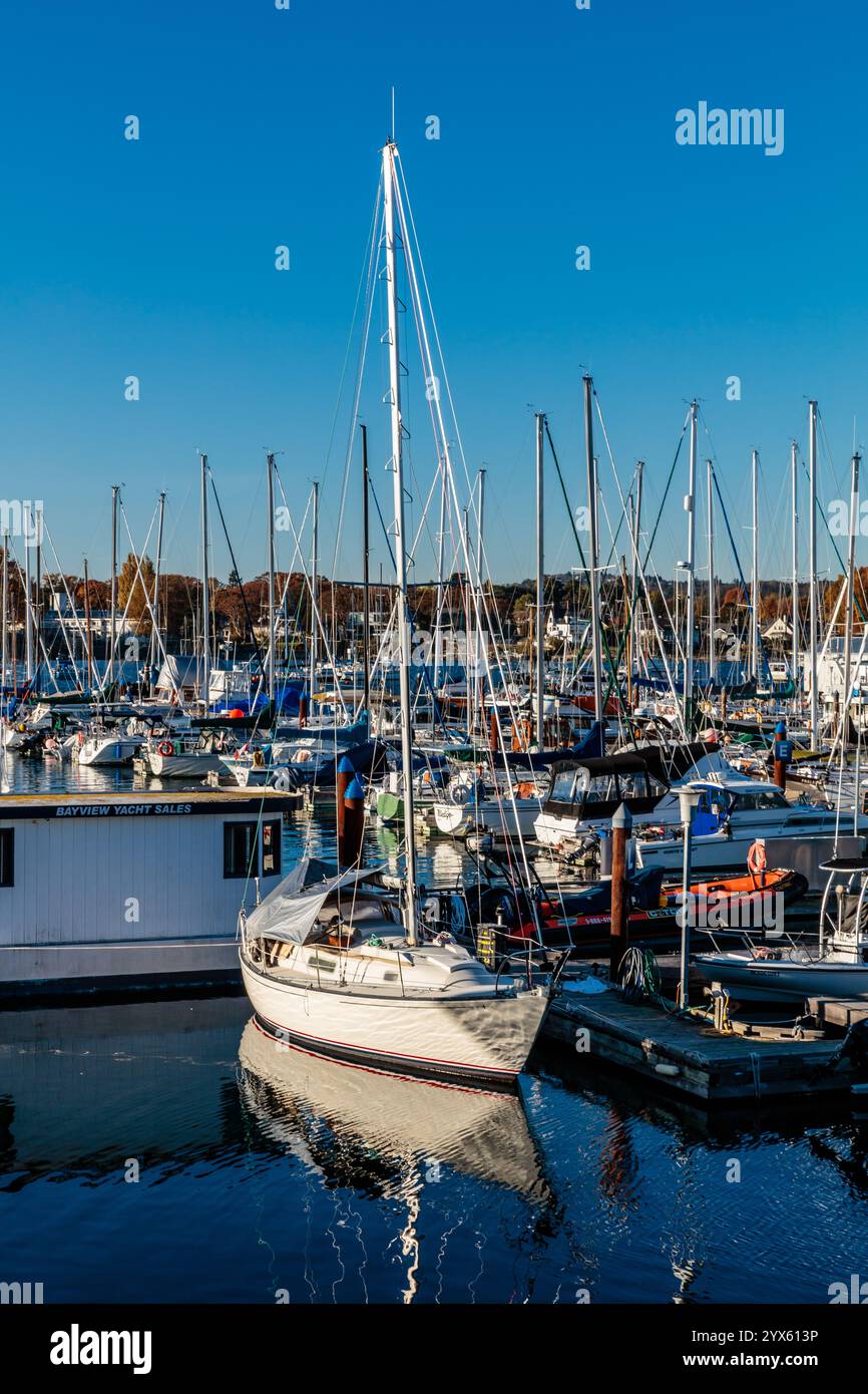A boat is docked in a marina with many other boats. The water is calm ...