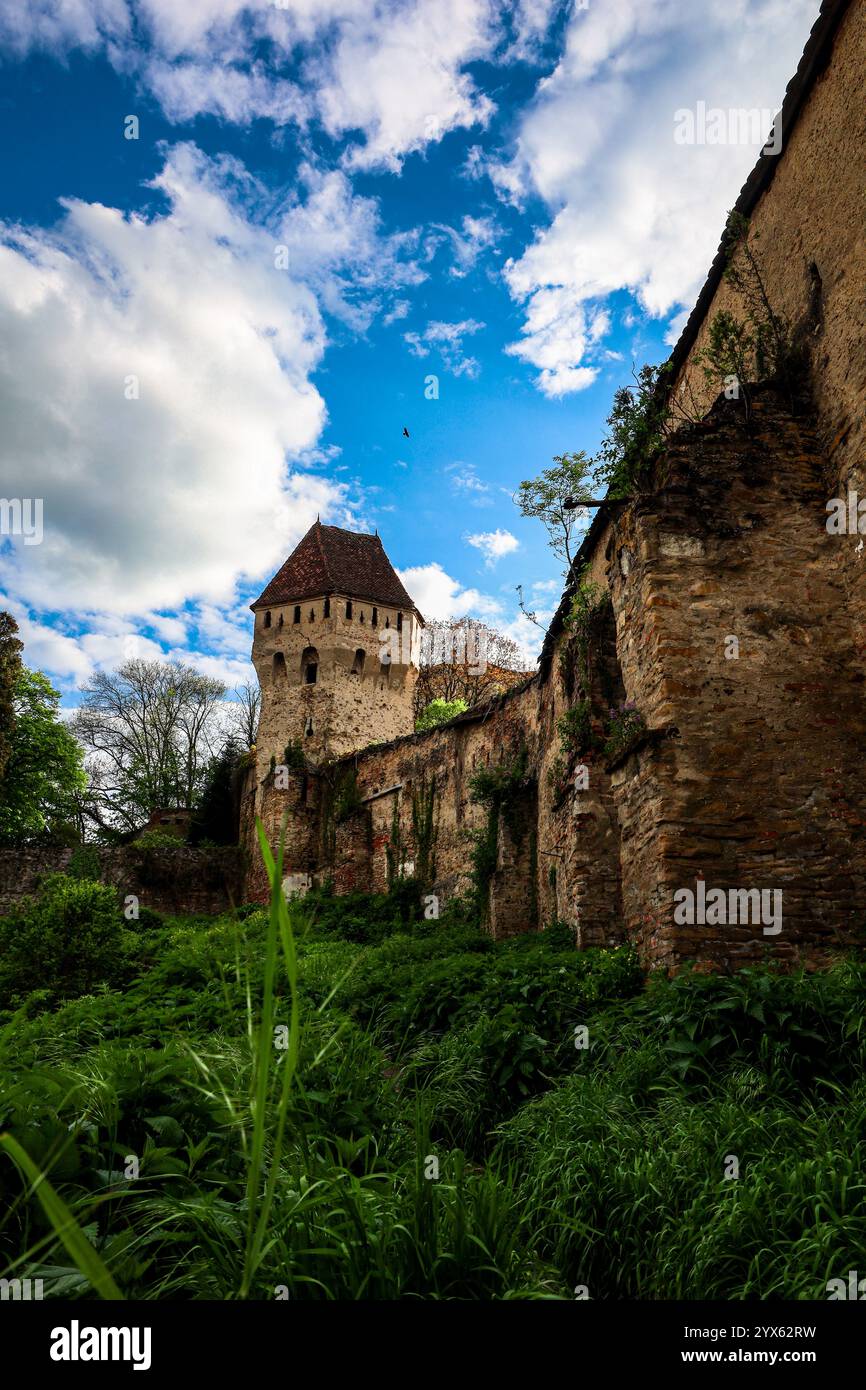 A medieval tower with a red-tiled roof stands amid weathered stone ...