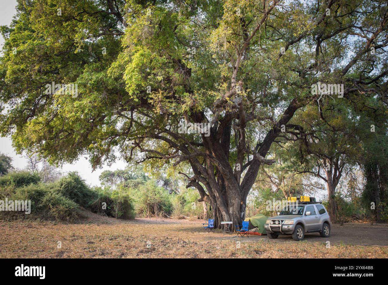 Set up under hi-res stock photography and images - Alamy