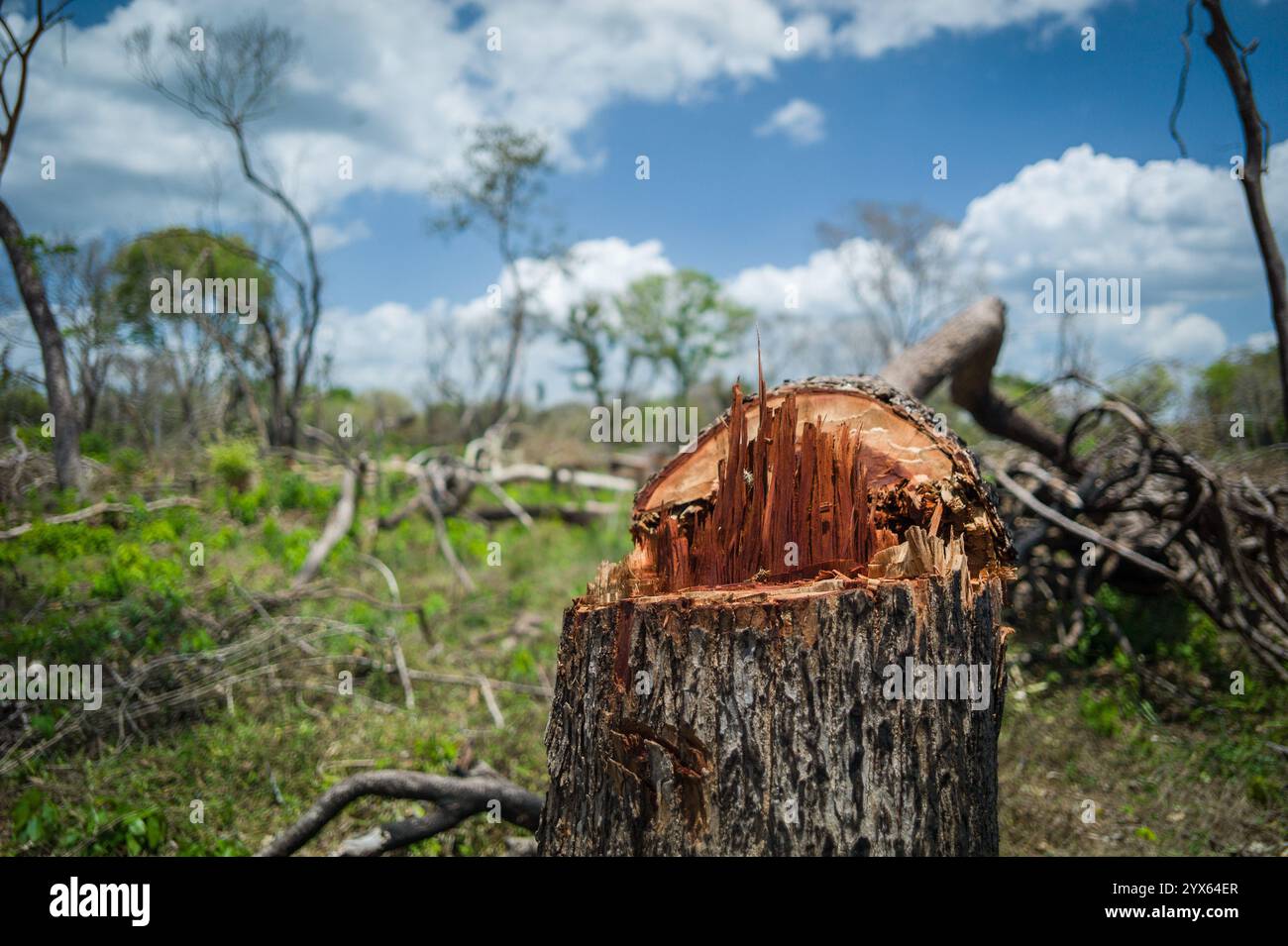 Burn destruction hi-res stock photography and images - Alamy