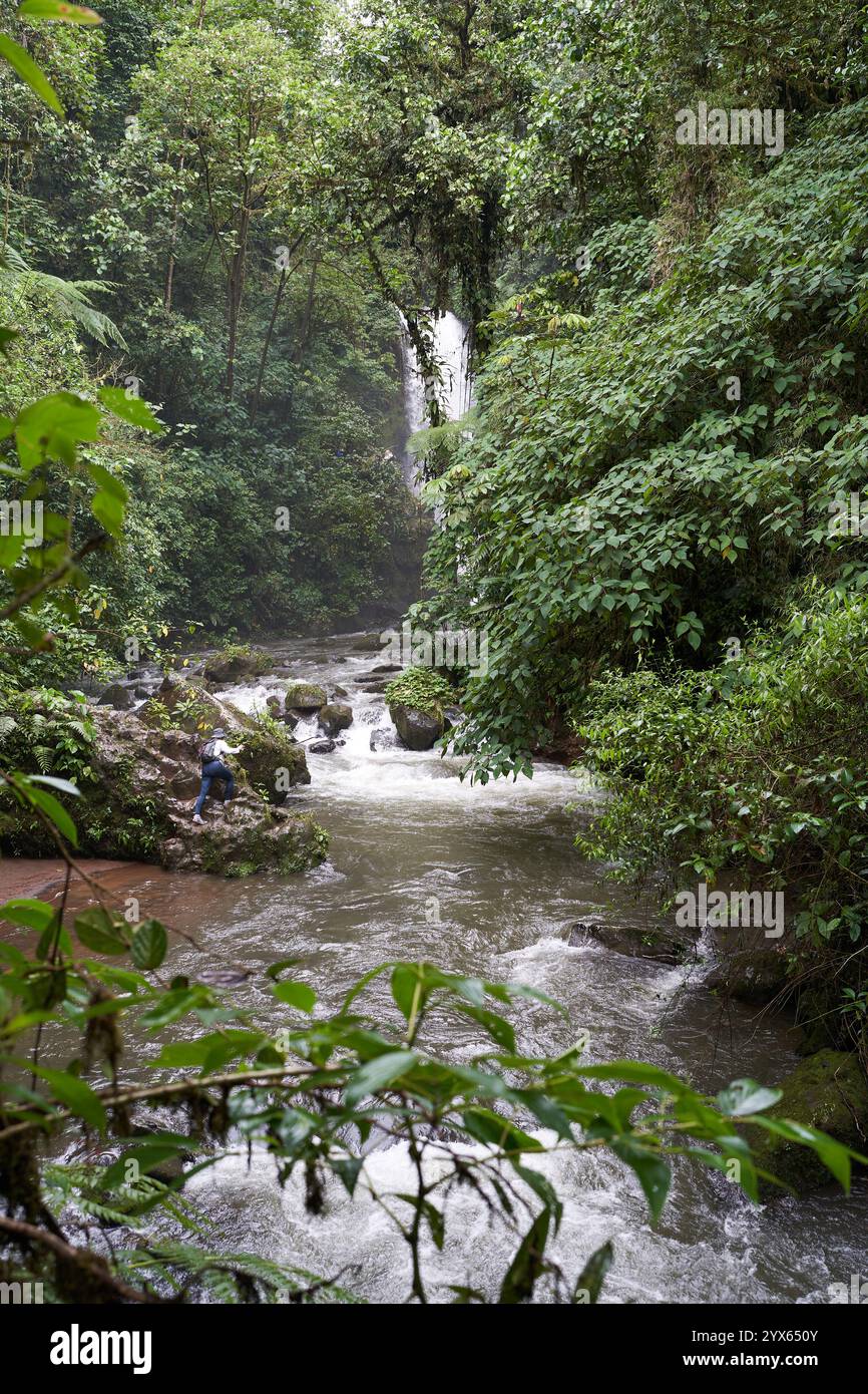 Alajuela, Costa Rica - November 14, 2024 - majestic waterfalls in the ...