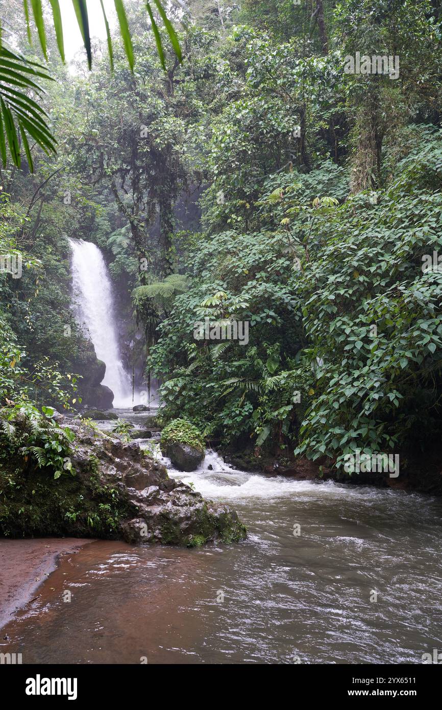 Alajuela, Costa Rica - November 14, 2024 - majestic waterfalls in the ...