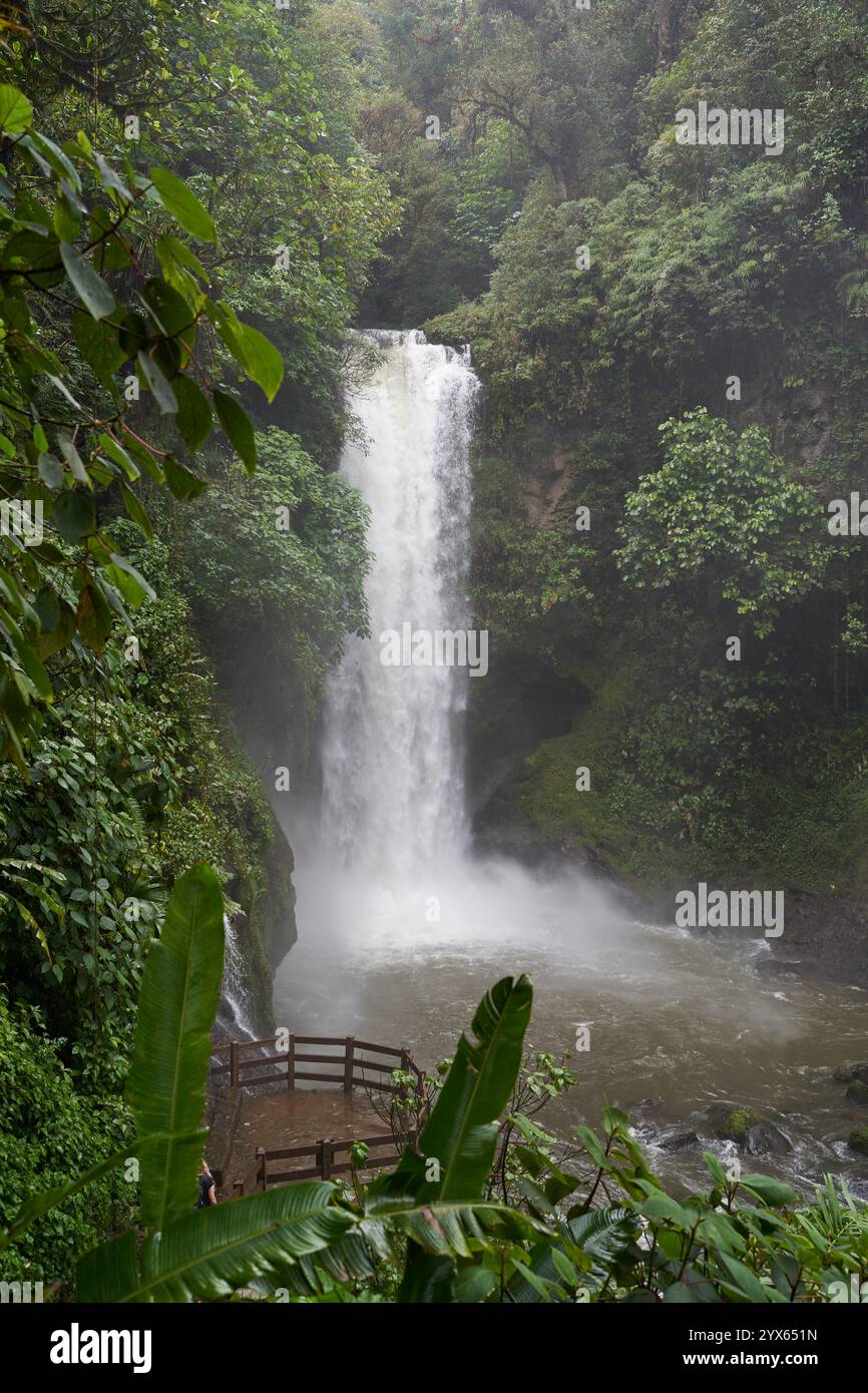 Alajuela, Costa Rica - November 14, 2024 - majestic waterfalls in the ...