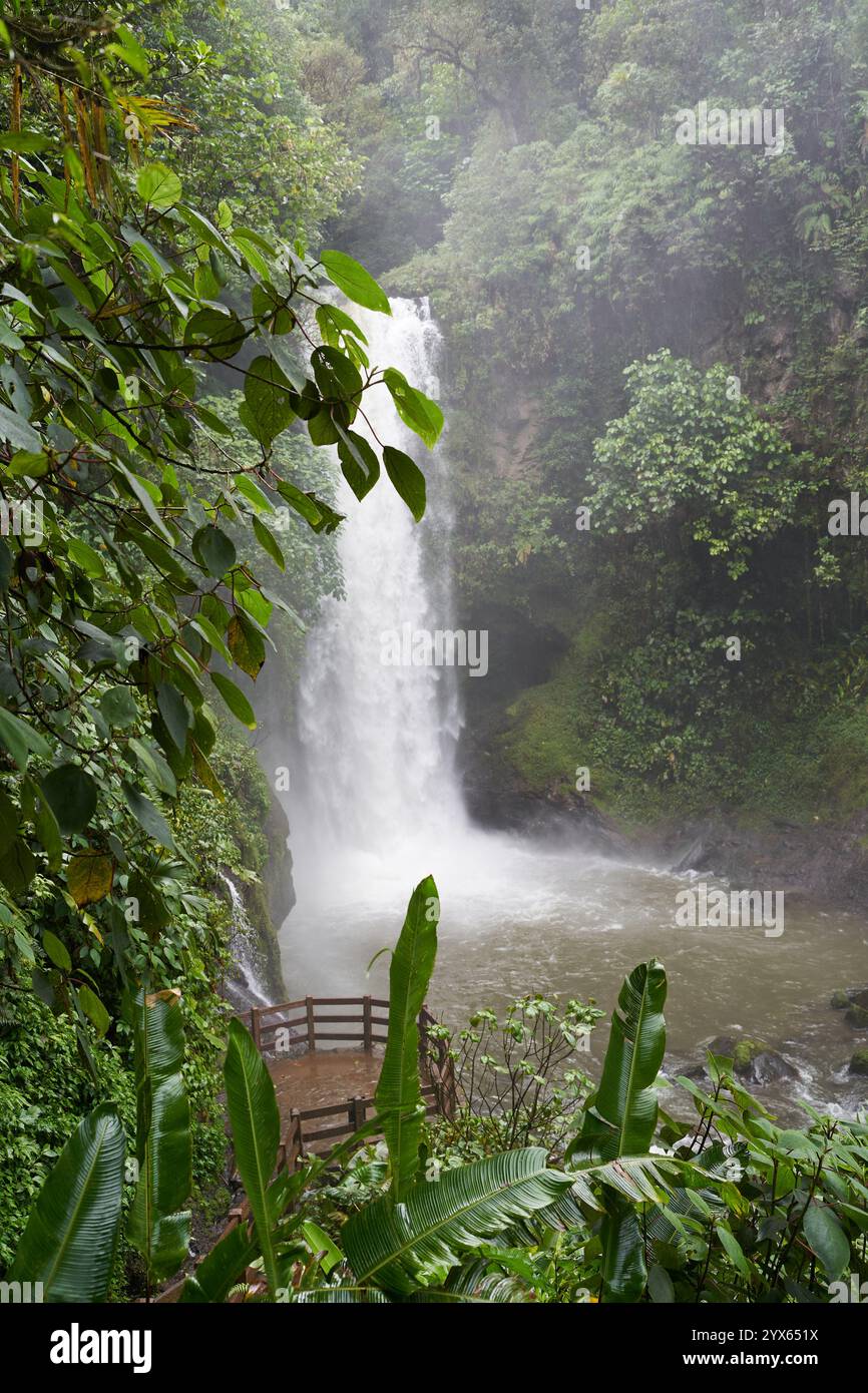 Alajuela, Costa Rica - November 14, 2024 - majestic waterfalls in the ...