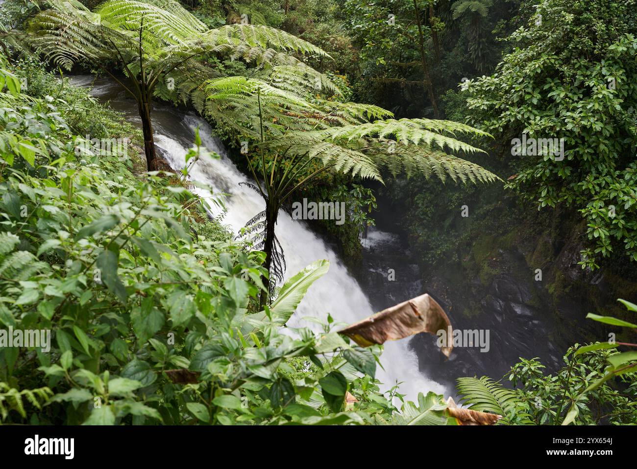 Alajuela, Costa Rica - November 14, 2024 - majestic waterfalls in the ...
