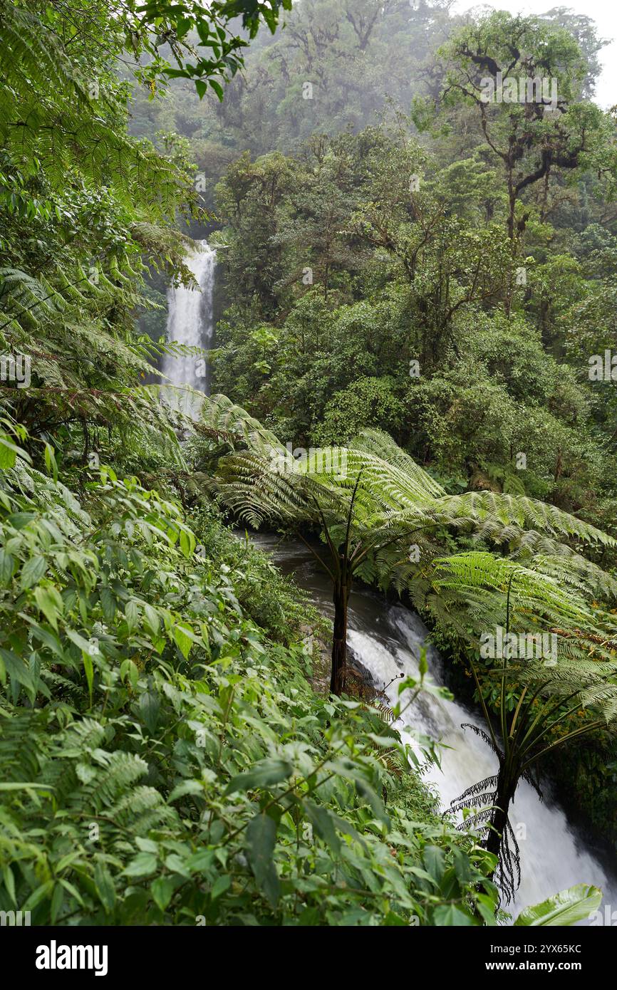 Alajuela, Costa Rica - November 14, 2024 - majestic waterfalls in the ...