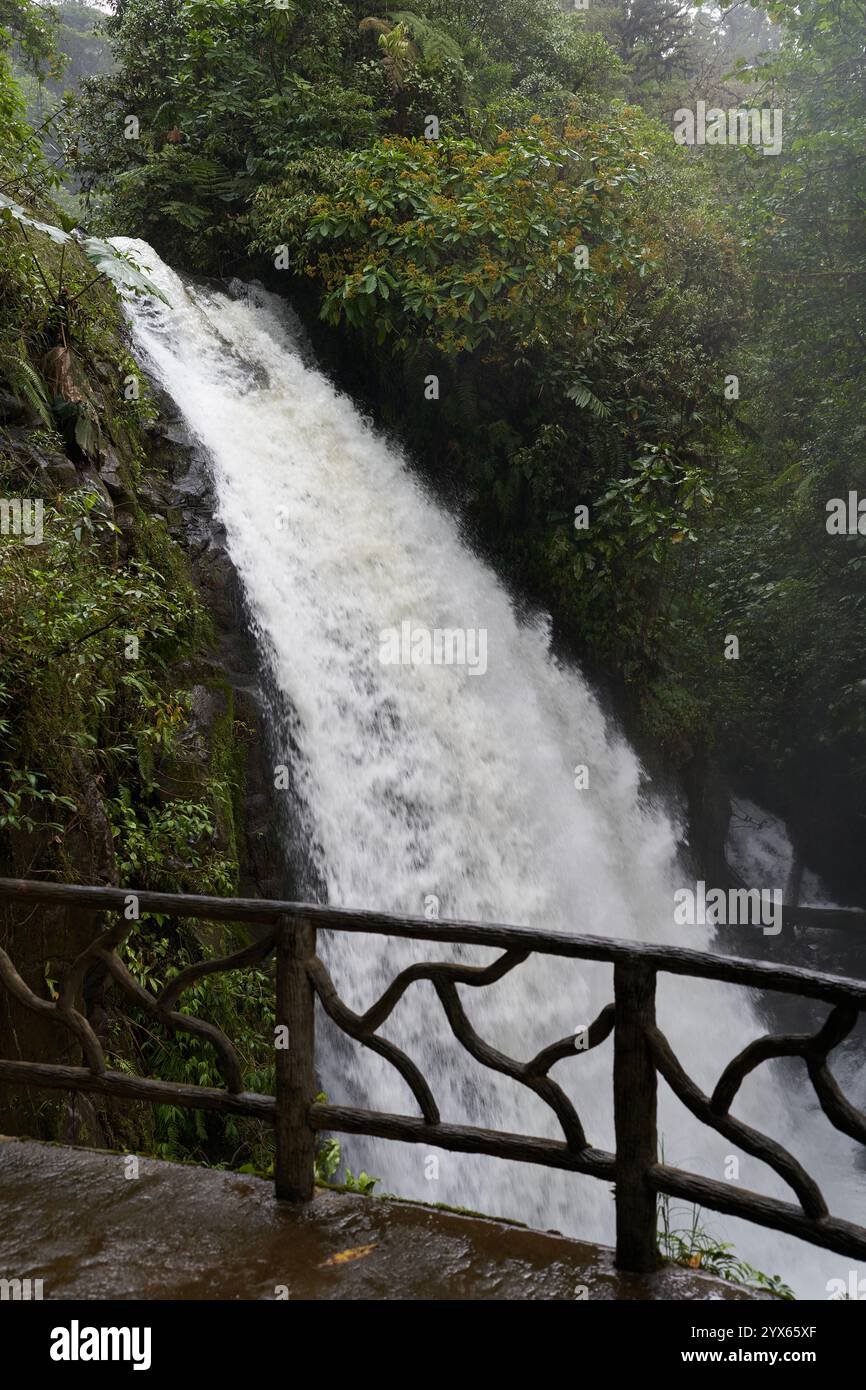 Alajuela, Costa Rica - November 14, 2024 - majestic waterfalls in the ...
