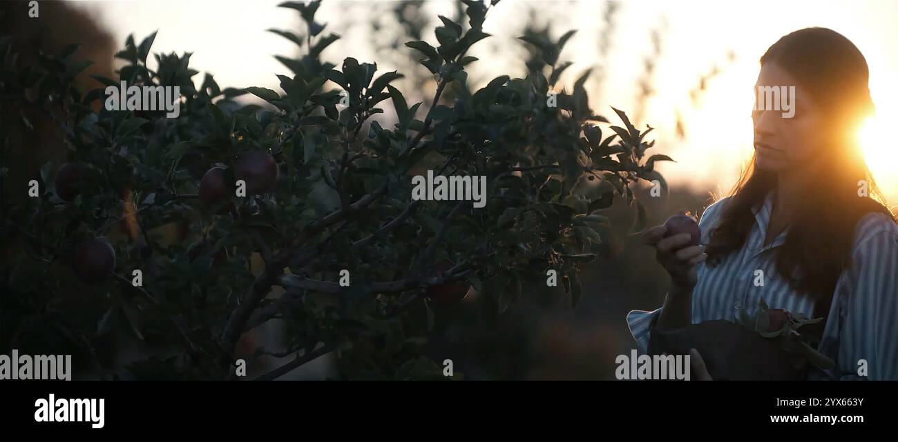 HOMESTEAD - FILM STILLS. 2024 . USA. Dawn Olivieri in Homestead - (C ...