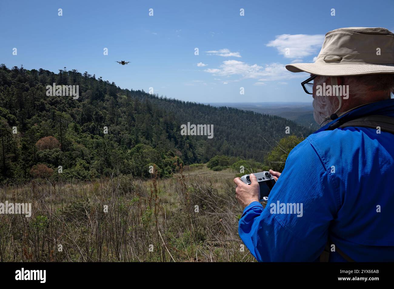 senior man flying drone over bushland forest, Australia, older mature ...