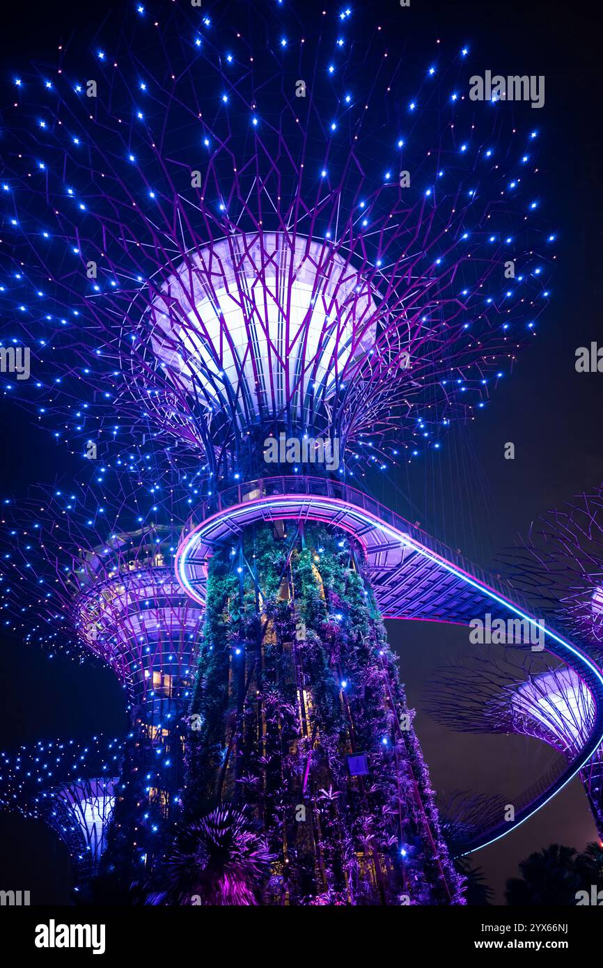 Singapore - July 2 2024: Supertree Grove night, Gardens by the Bay ...