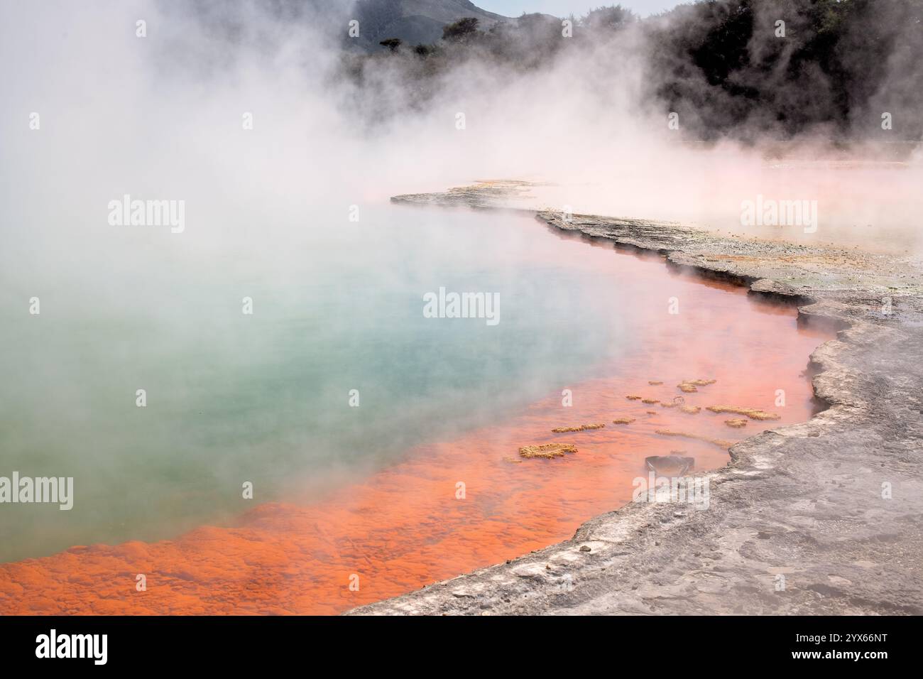 geothermal region, Rotorua New Zealand, sulphur steam rotten egg smell ...