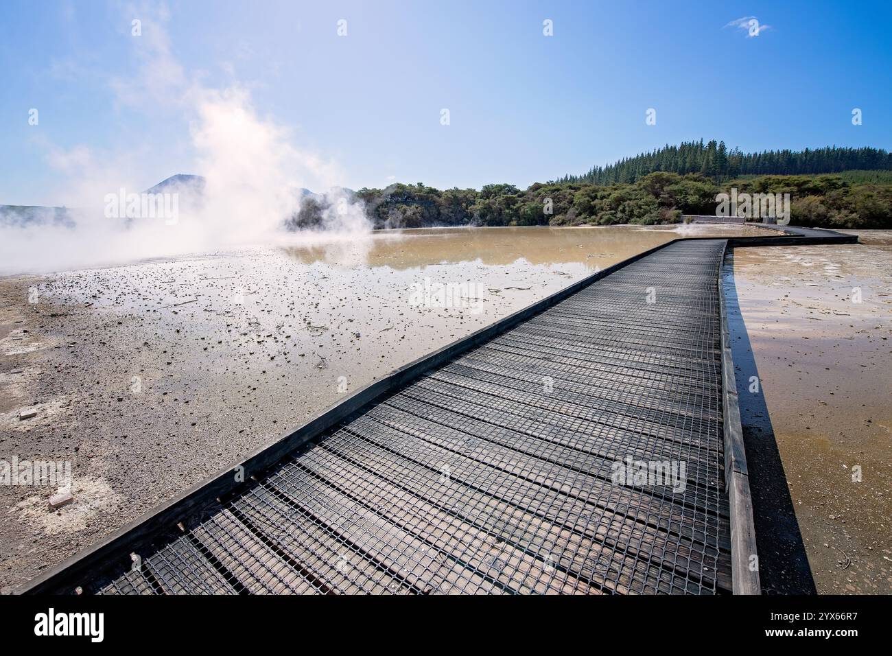 geothermal area region, Rotorua New Zealand, wheelchair pram accessible ...