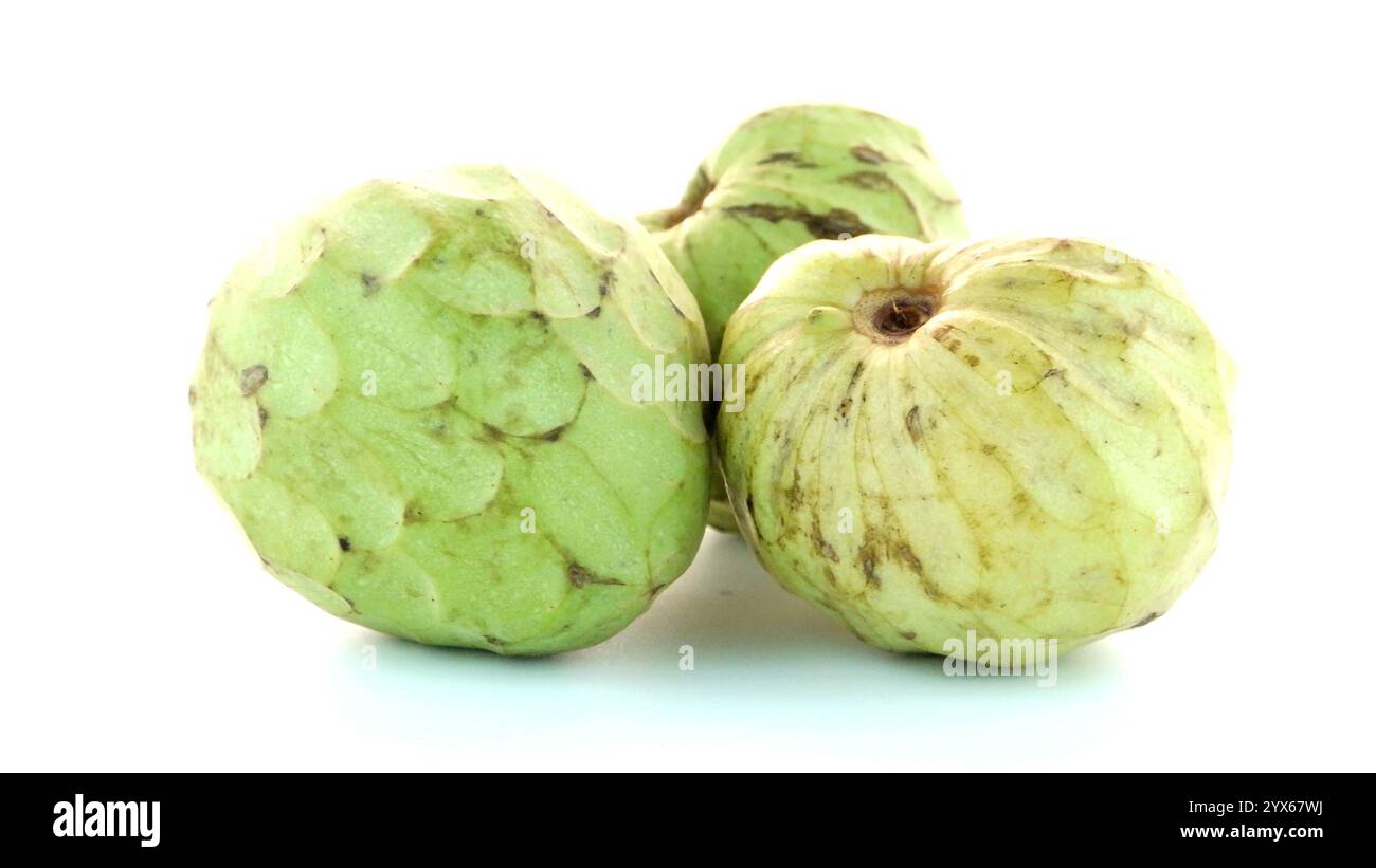Custard apple sugar fruit ripen hi-res stock photography and images - Alamy