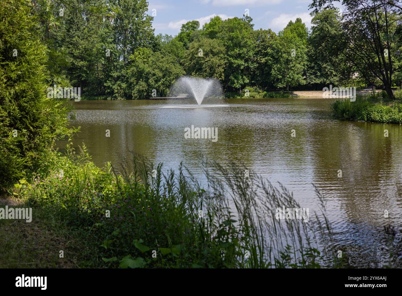 Peaceful garden scene water greenery hi-res stock photography and ...