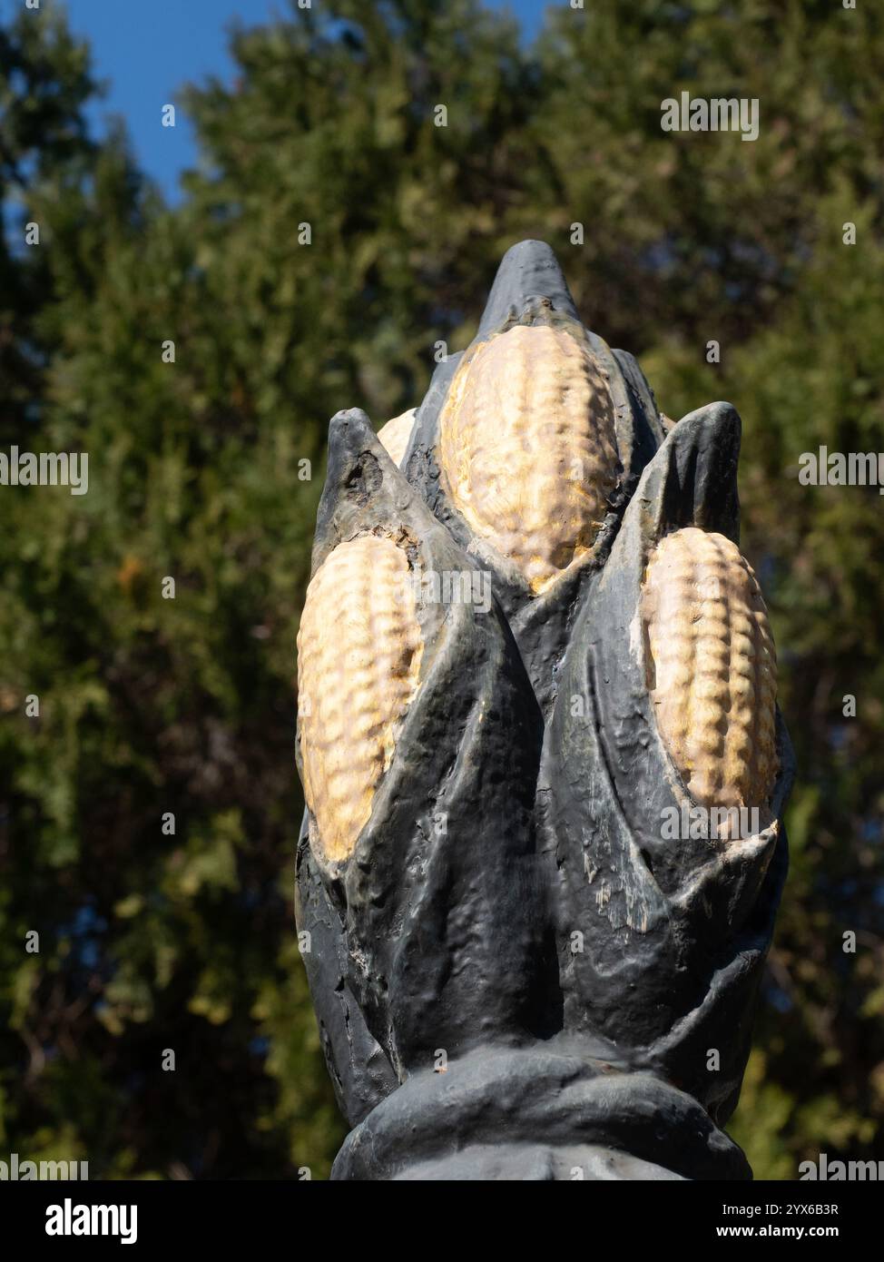 A small bunch of metal painted corncobs on the iconic cornstalk fence ...