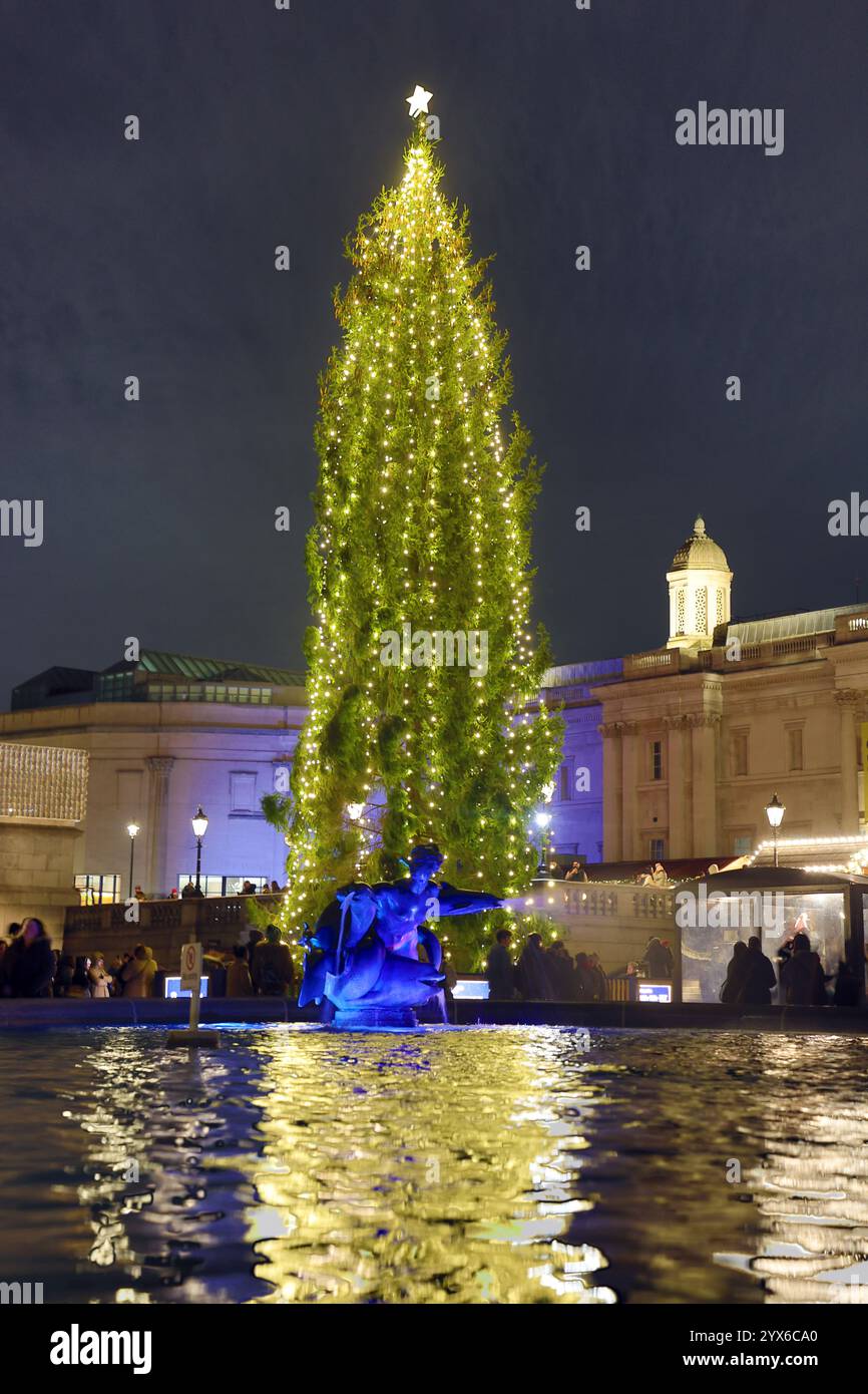 Trafalgar Square Christmas Tree, London, England for 2024 Stock Photo ...