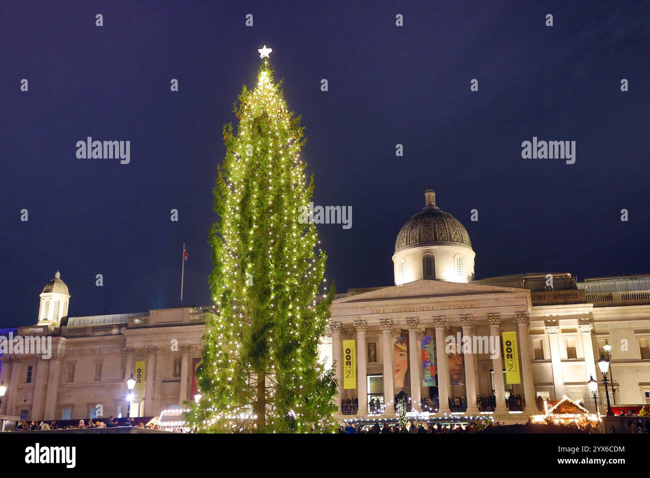 Trafalgar Square Christmas Tree, London, England for 2024 Stock Photo ...