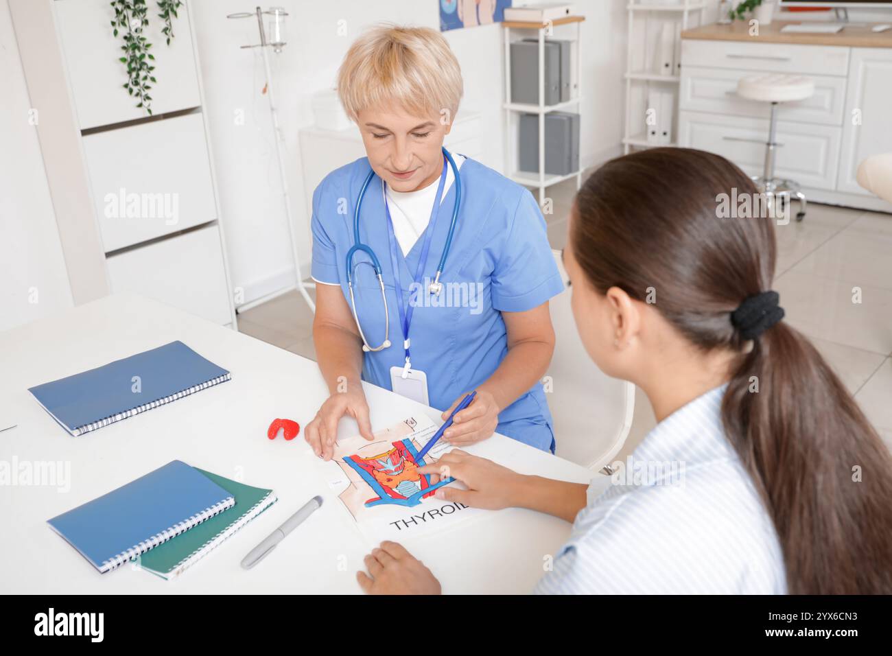 Female endocrinologist showing structure of thyroid gland to patient at ...