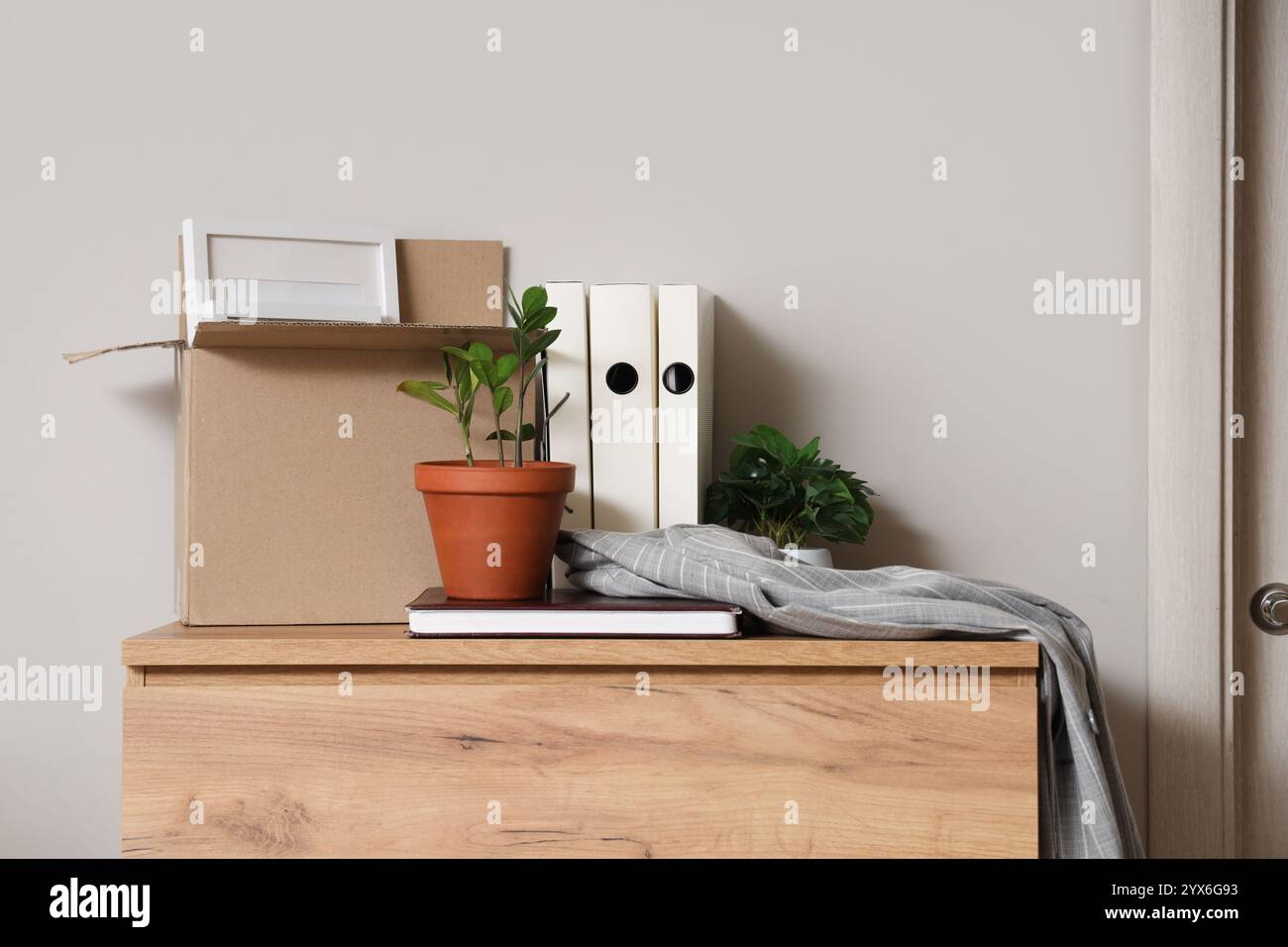 Cardboard box with stuff and houseplants on commode in office at moving ...