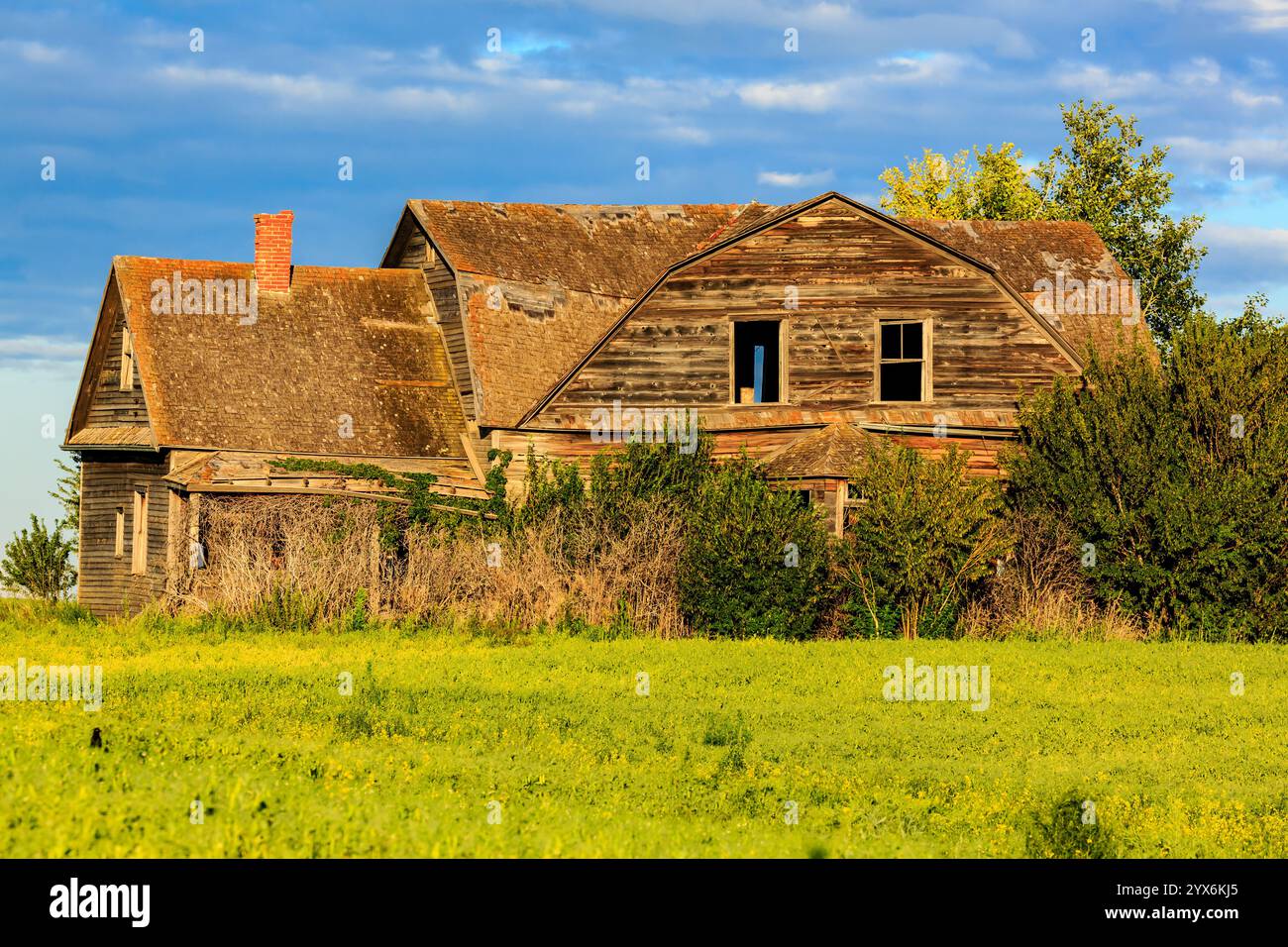 A large, old house sits in a field of grass. The house is surrounded by ...