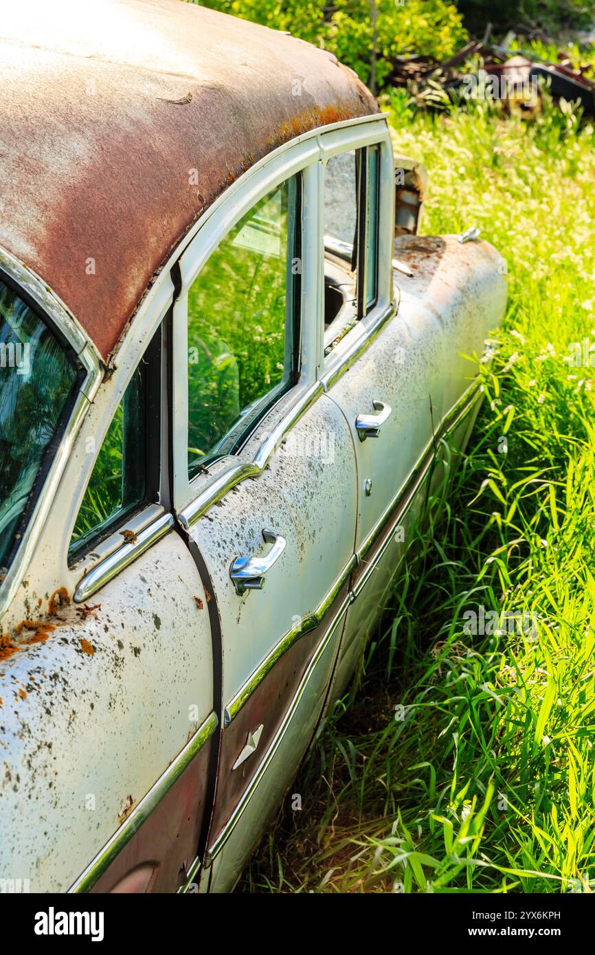 A rusted old car is sitting in a grassy field. The car is covered in ...