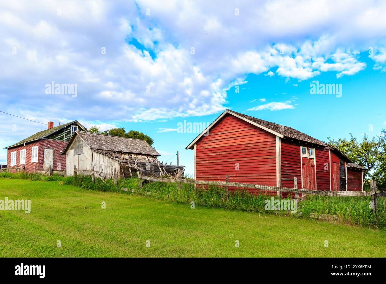 A red barn sits on a hillside next to a house. The barn is old and has ...