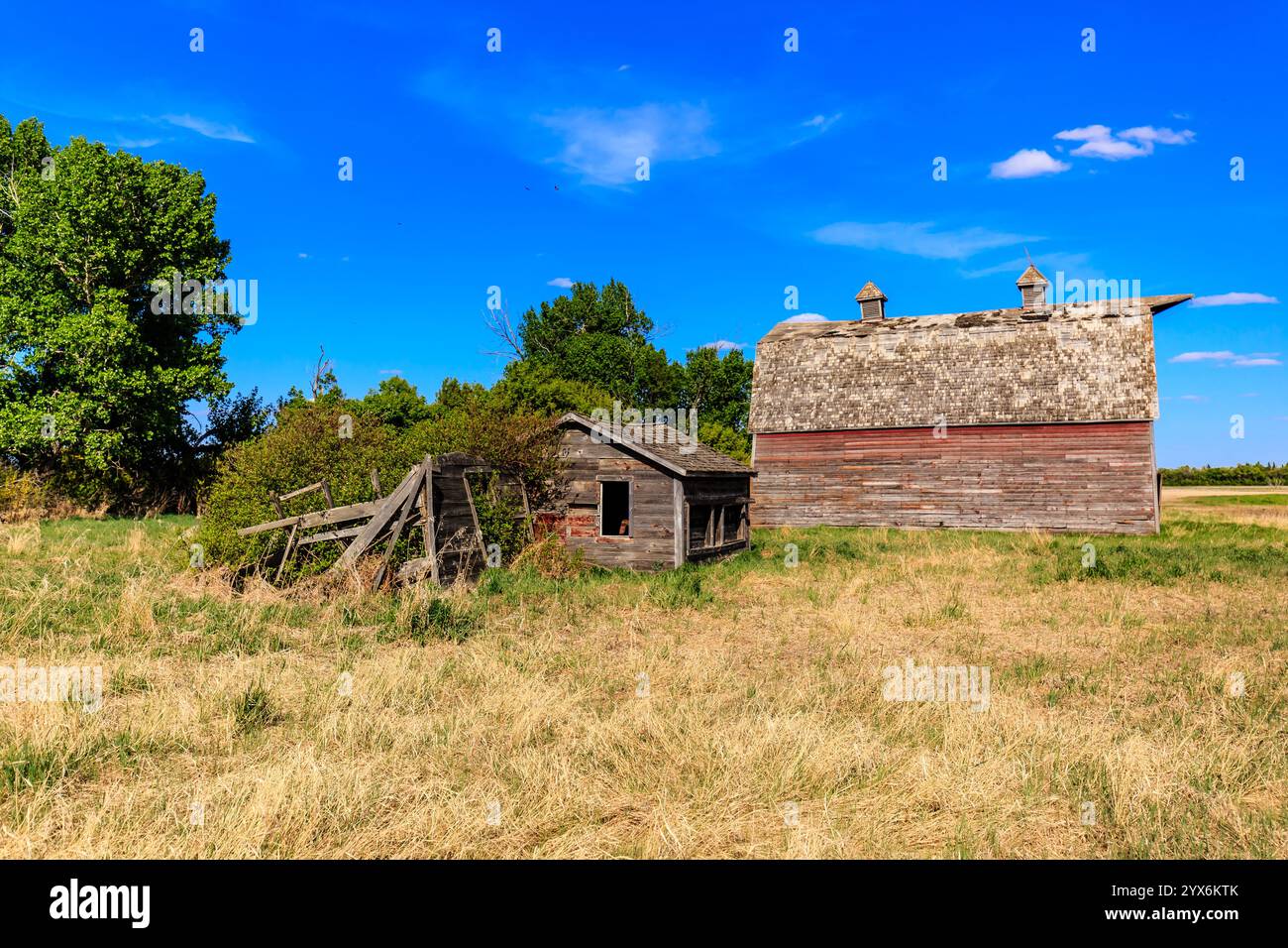 A barn and a shed are in a field with a blue sky. The barn is old and ...