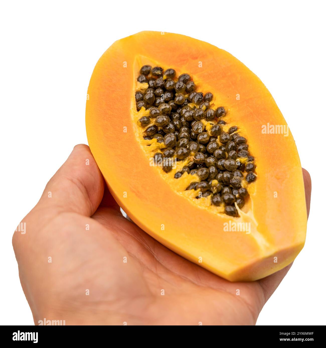 Large oval section hi-res stock photography and images - Alamy