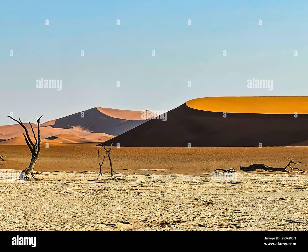 Deadvlei, dead trees and sand dunes in Sossusvlei, Namib Naukluft ...