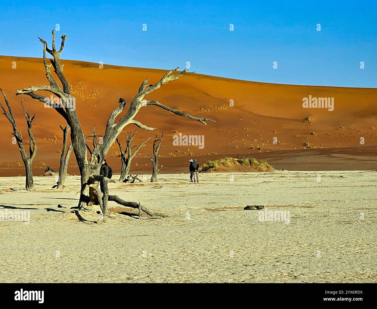 Deadvlei, dead trees and sand dunes in Sossusvlei, Namib Naukluft ...