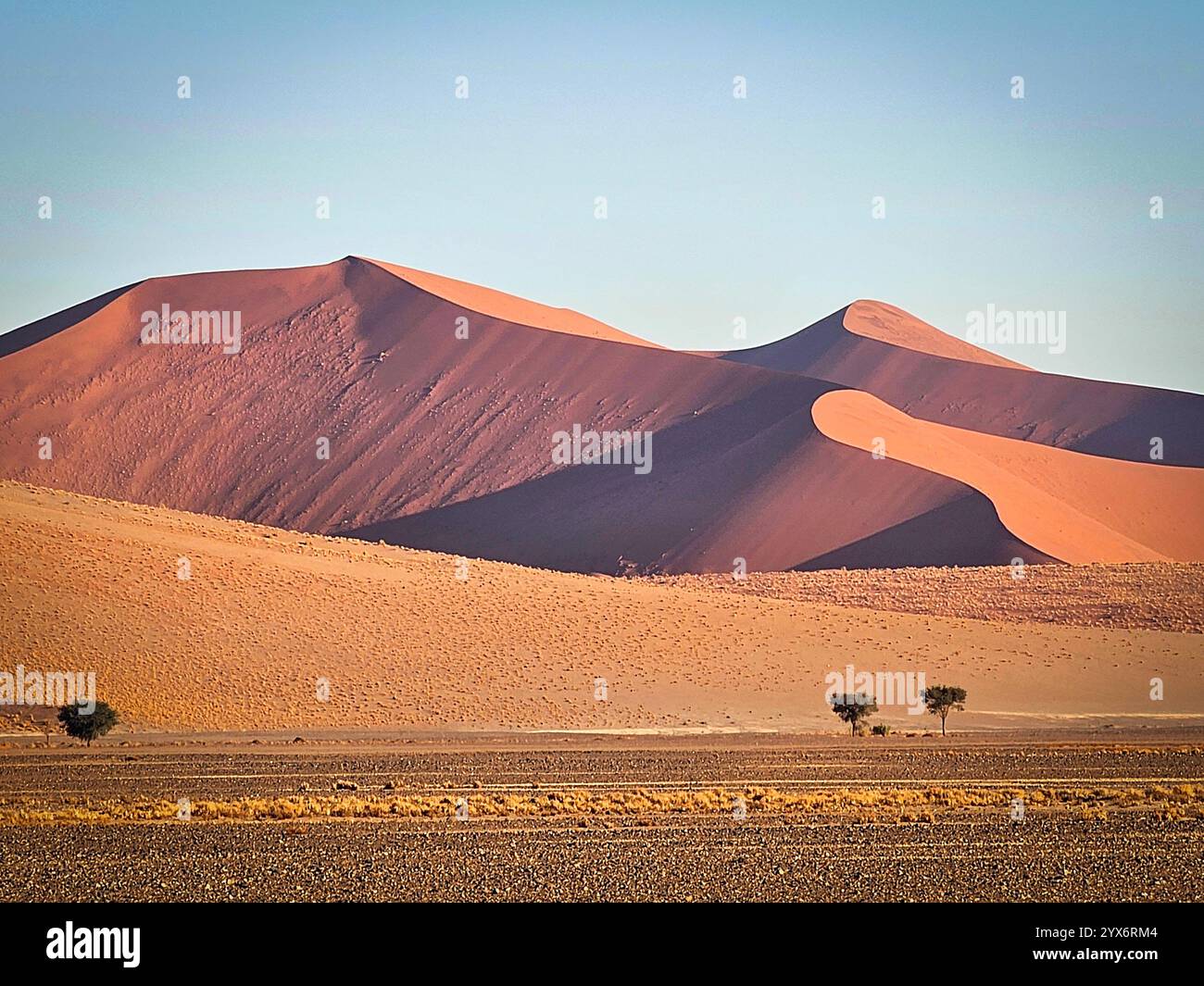 Deadvlei, dead trees and sand dunes in Sossusvlei, Namib Naukluft ...