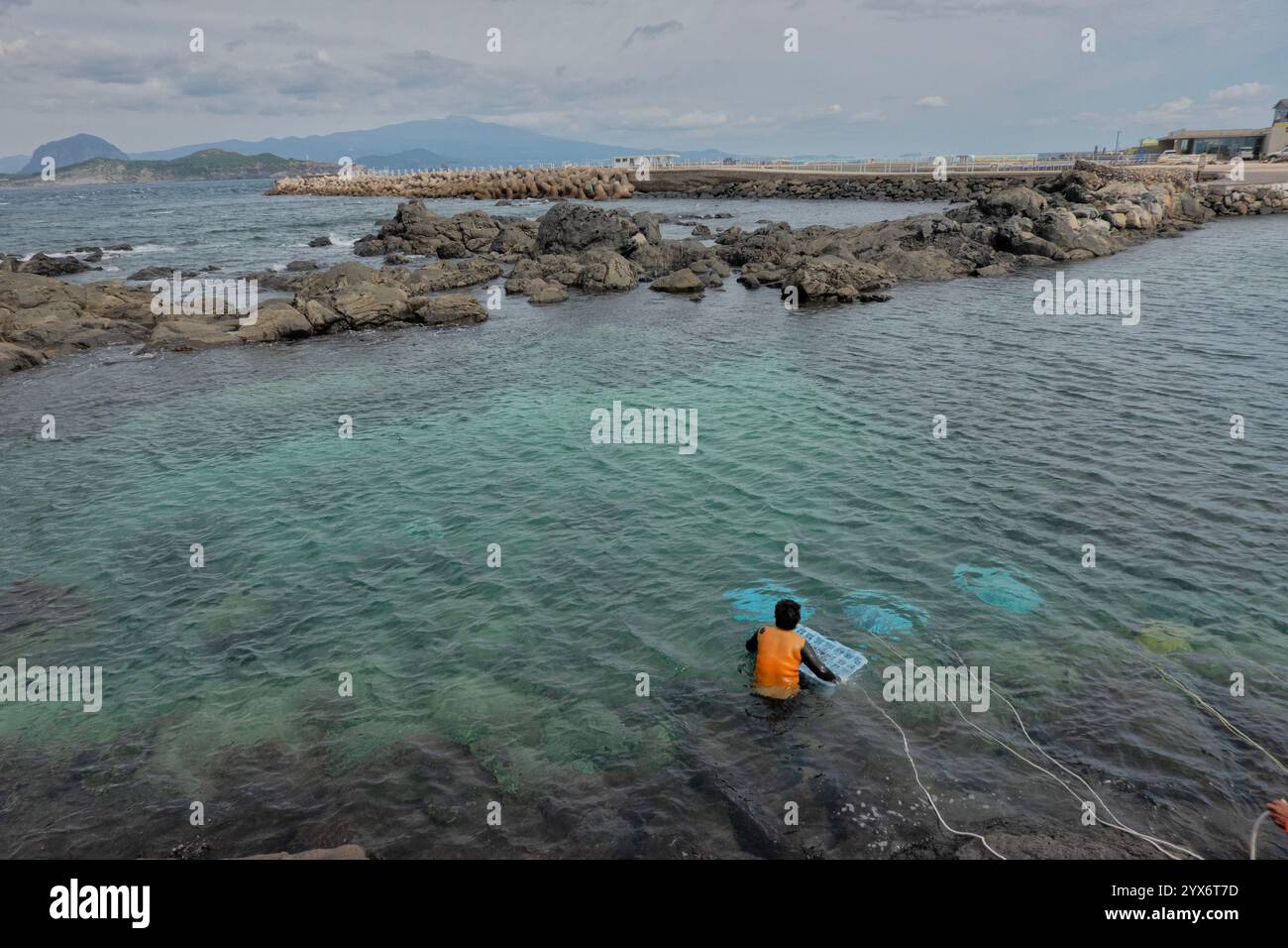 Haenyeo women divers with their fresh conch shell catch, Gapado Island ...