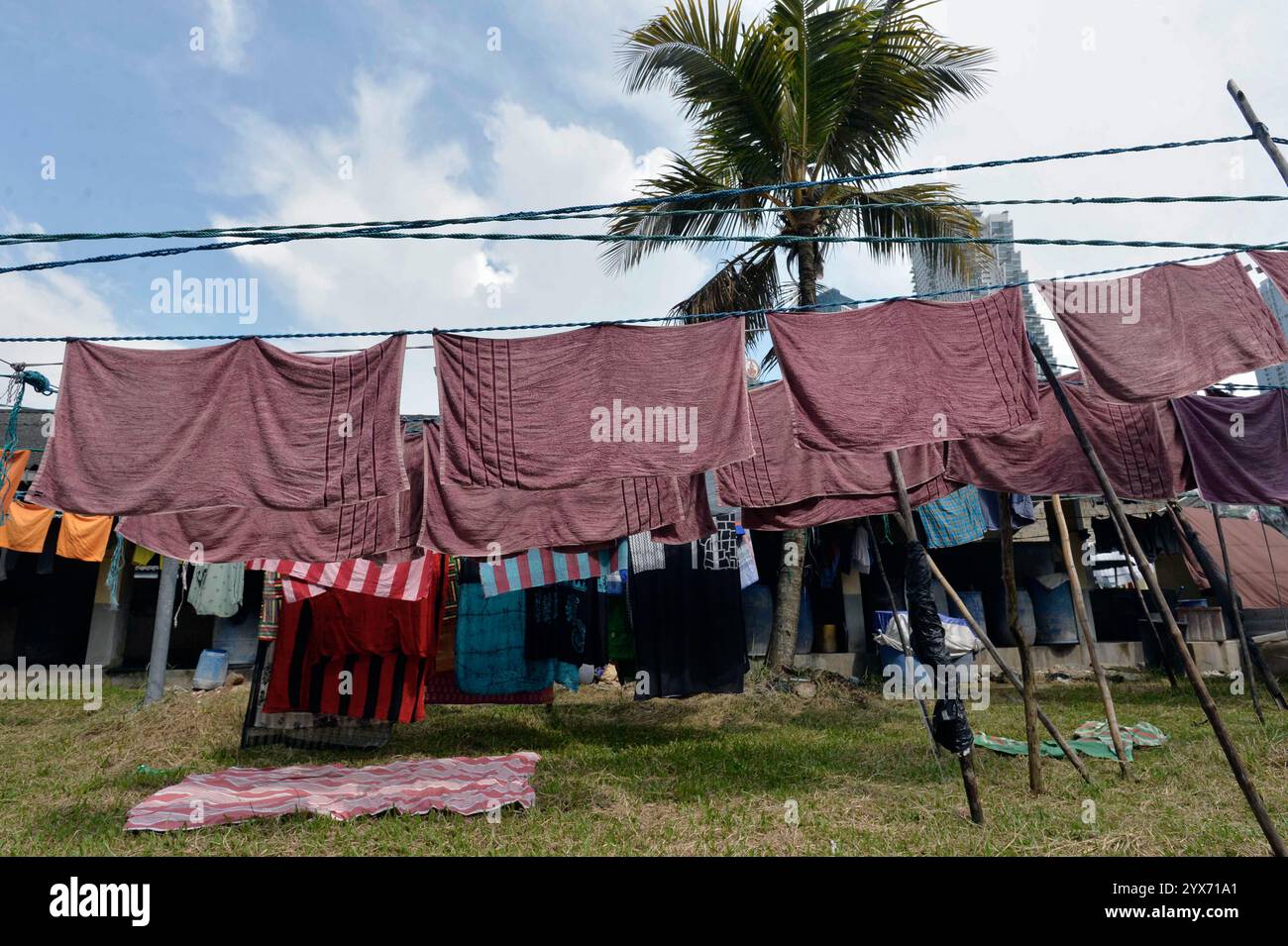 (241214) -- COLOMBO, Dec. 14, 2024 (Xinhua) -- This photo shows a view ...