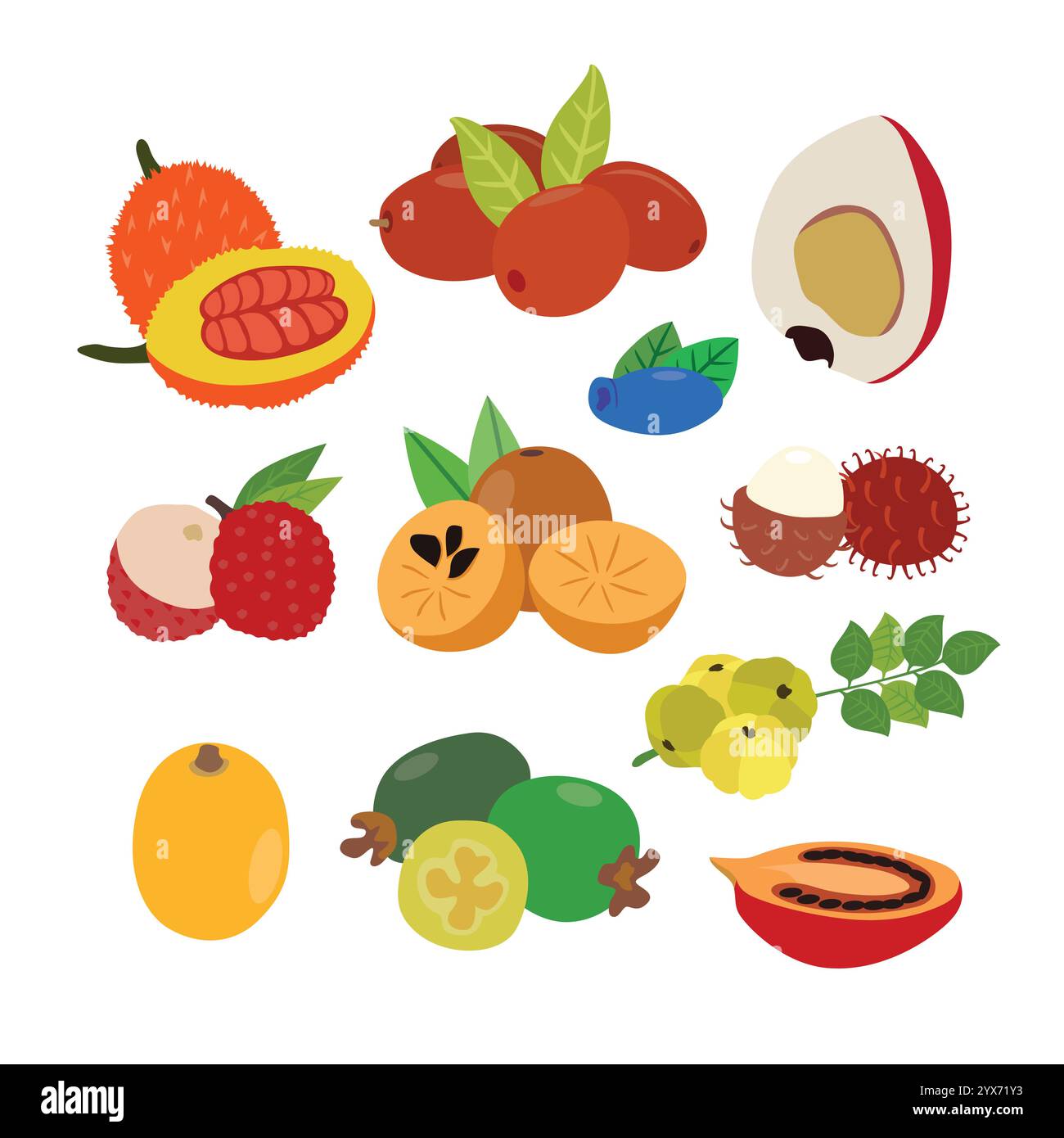 Fruit collection hi-res stock photography and images - Alamy