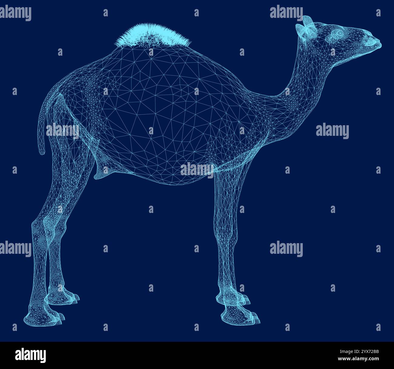 Camel line art vector design wireframe vector illustration Stock Vector ...