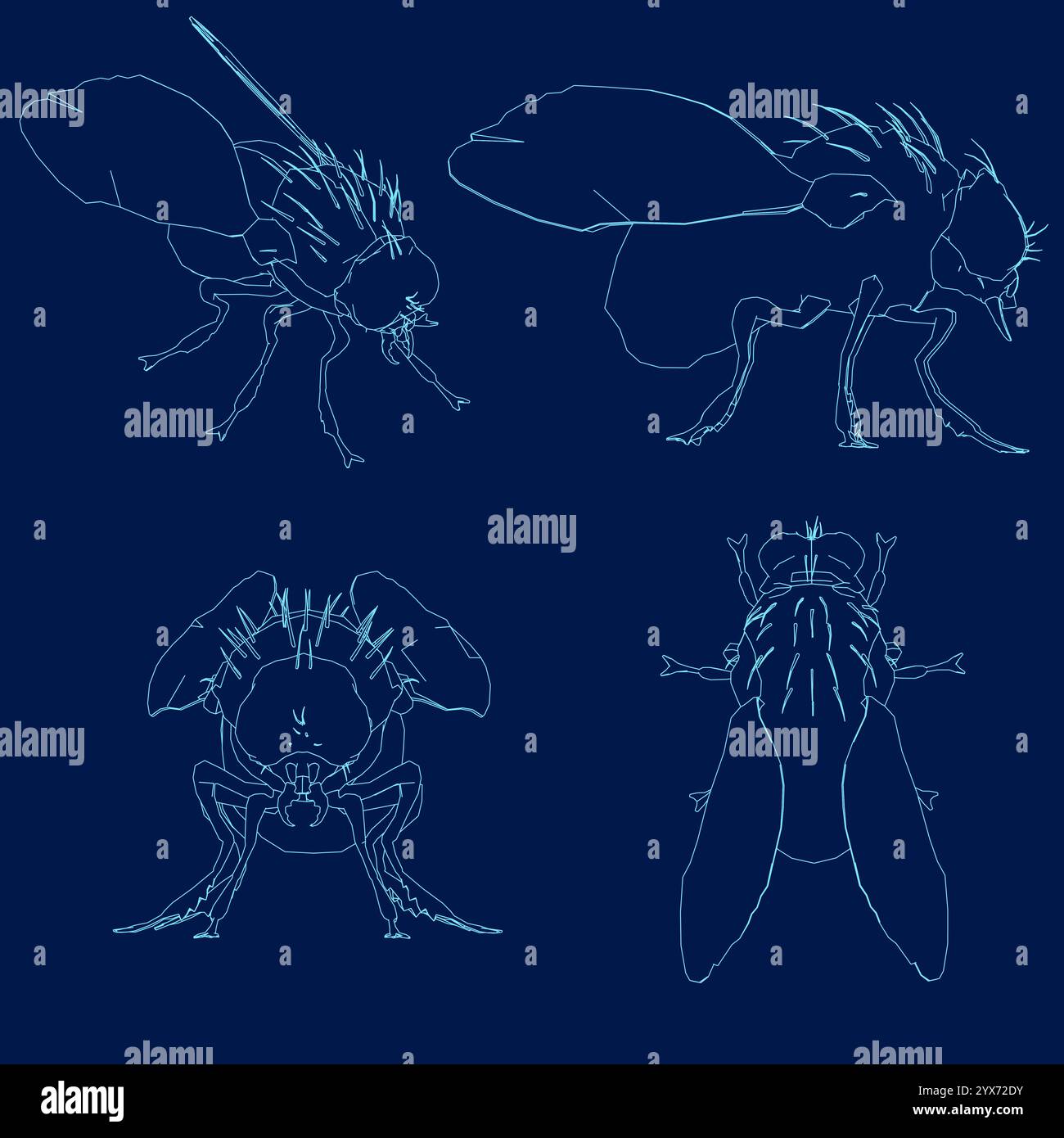 Set of fly outline - vector illustration. Isolated blue contour of ...