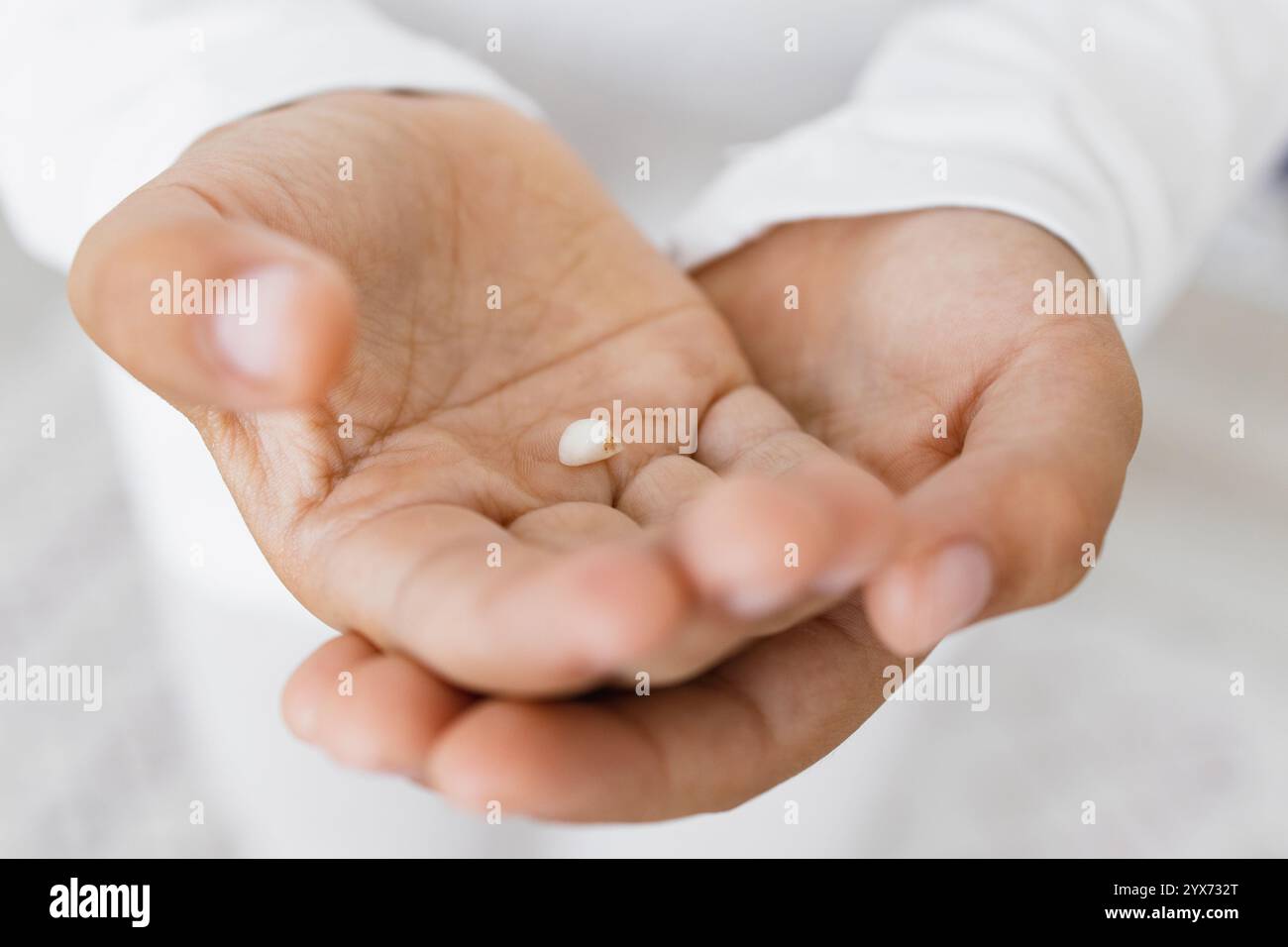 Close-up of young child holding baby tooth in hands. Caucasian child ...