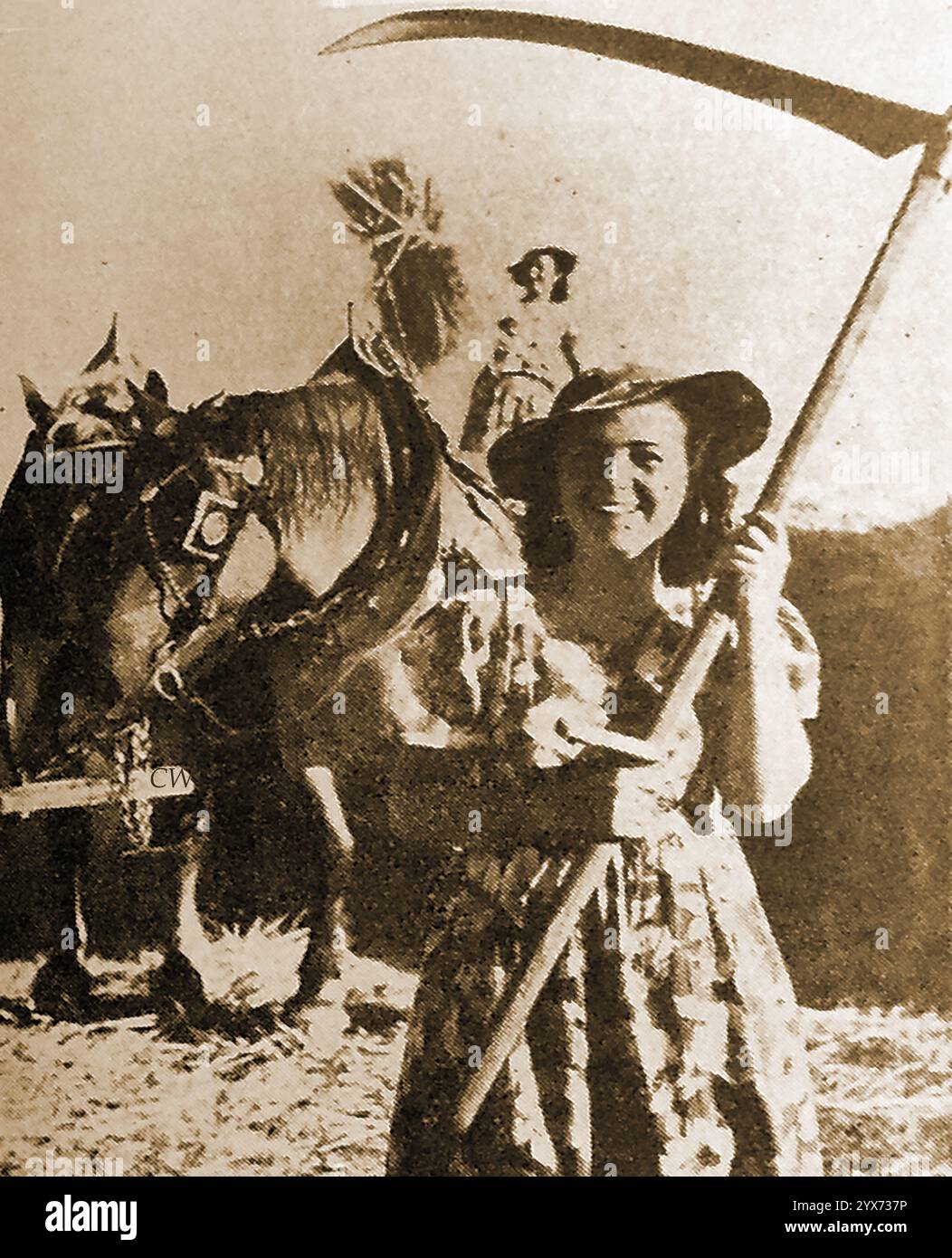 Turkey 1940's . Women workers (land girls) harvesting crops during WWII ...