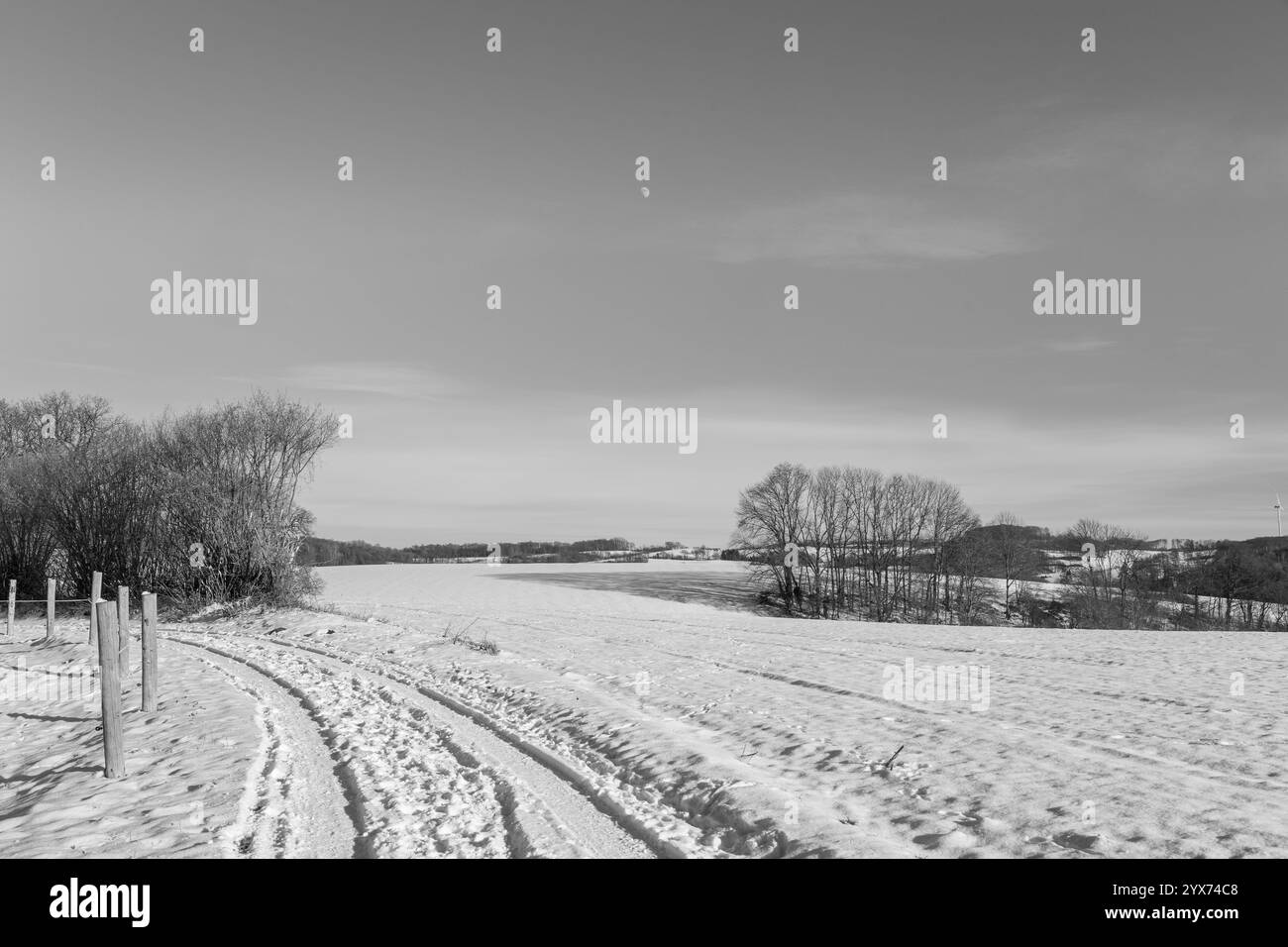 Snowy trees cloudy sky Black and White Stock Photos & Images - Alamy