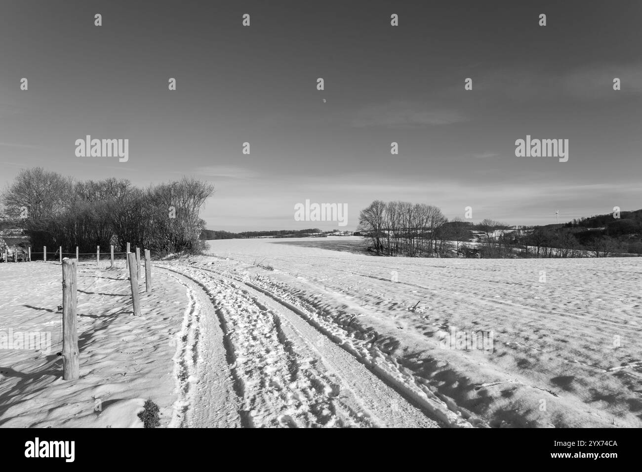 Snowy trees cloudy sky Black and White Stock Photos & Images - Alamy