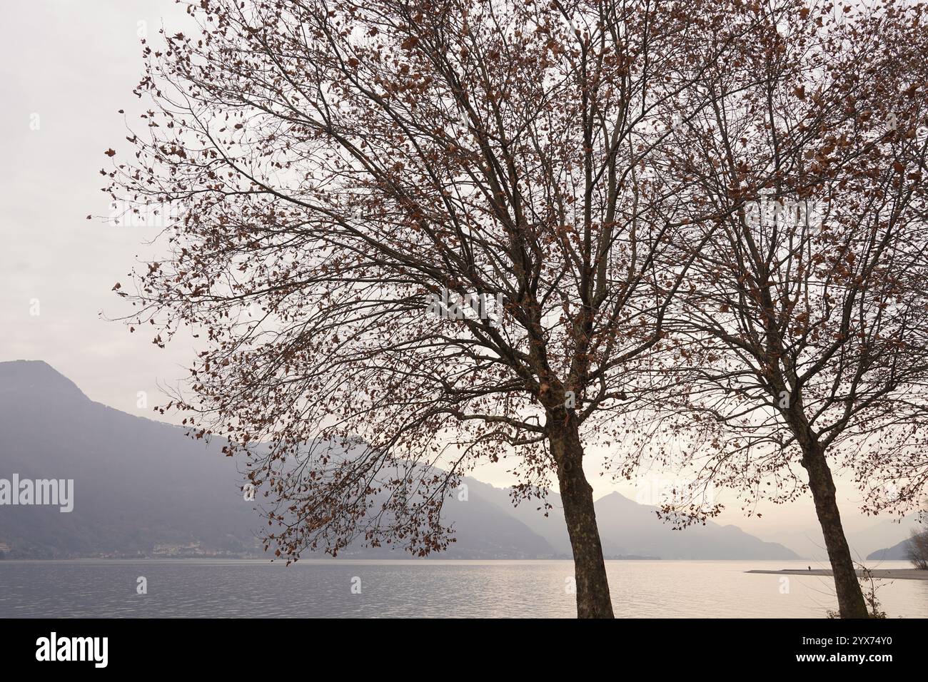 Late autumn early winter on Lake Como as the sun rises from the ...