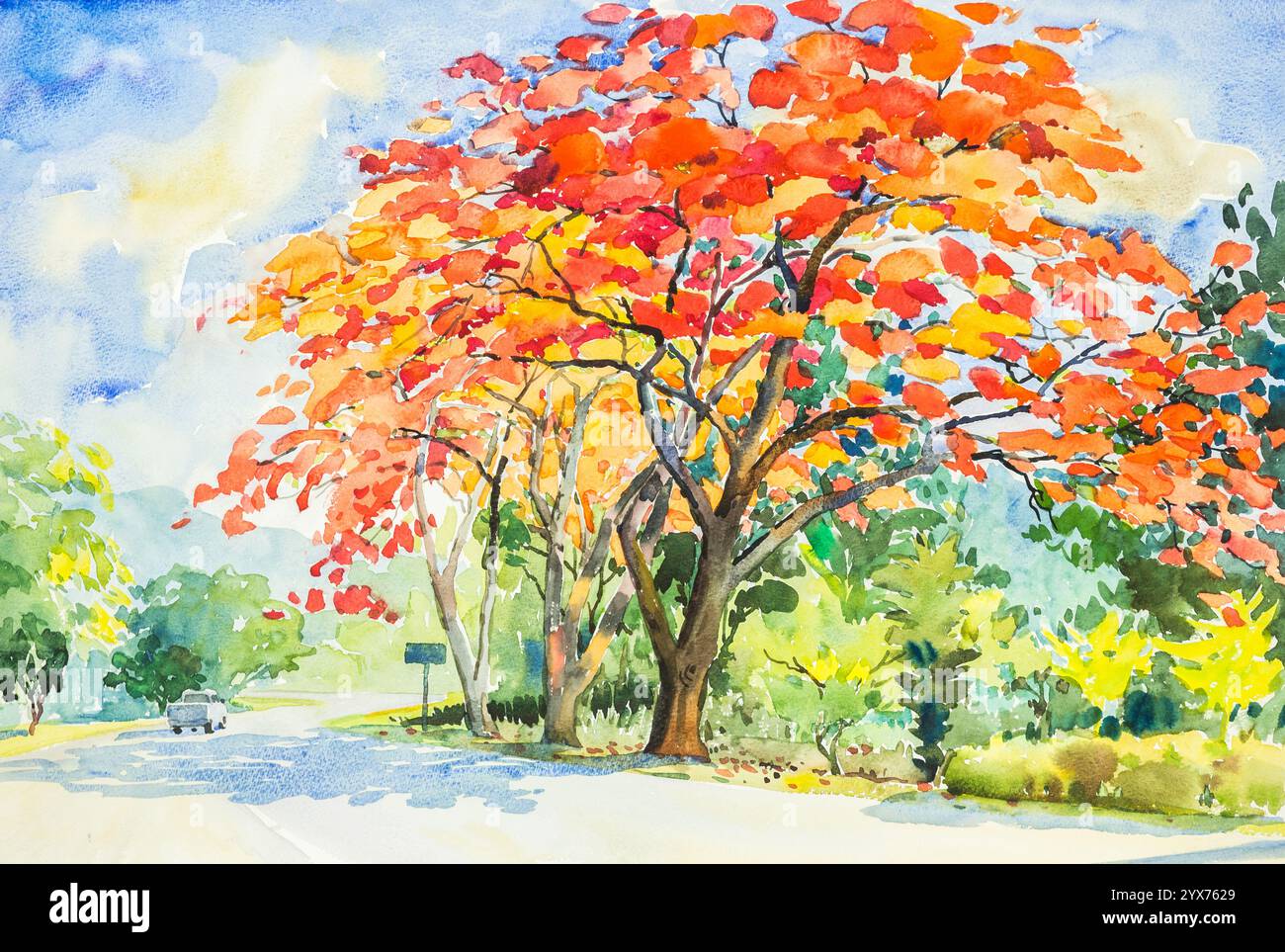 watercolor original landscape painting red, orange color of peacock ...