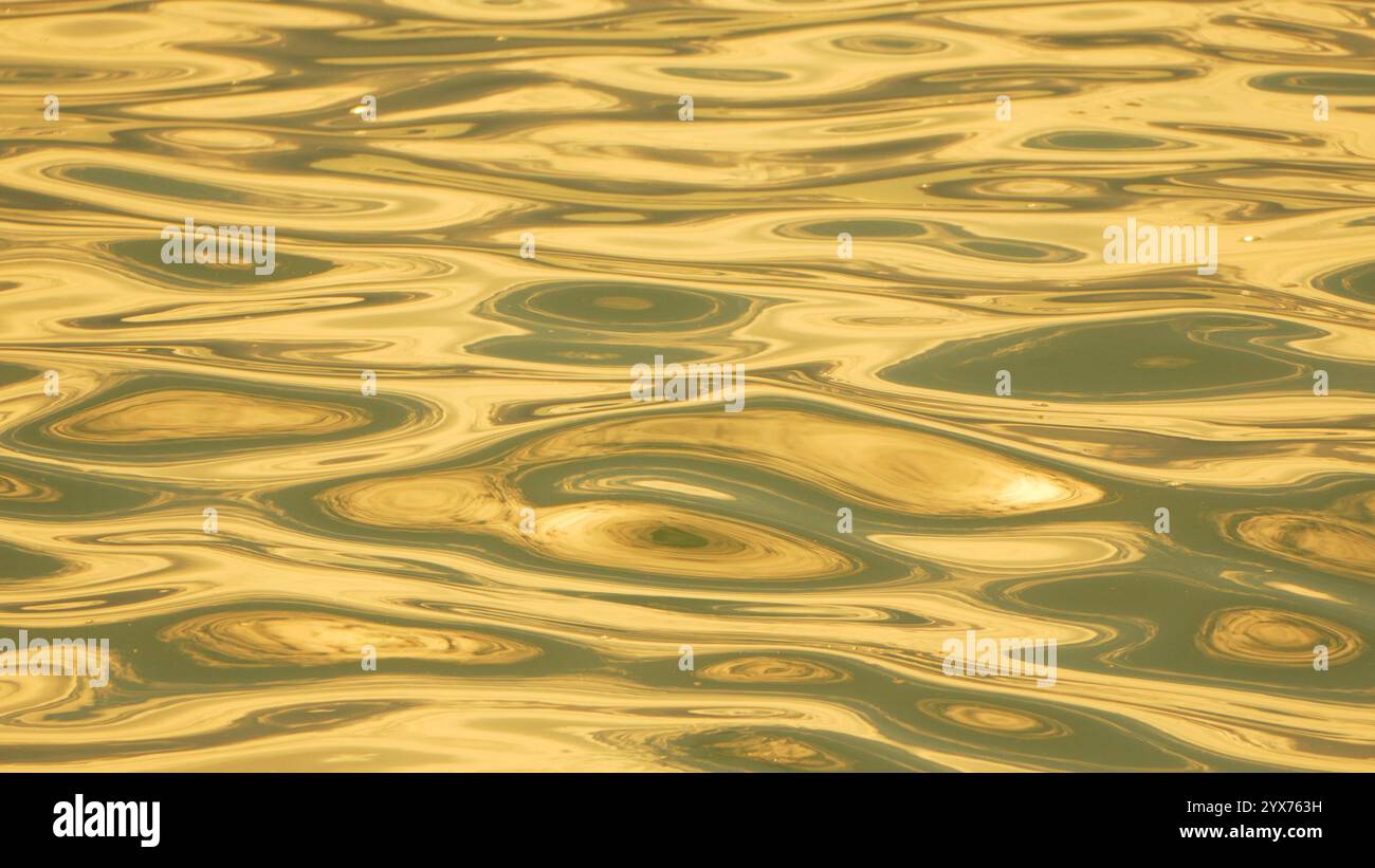 Water Ripples Golden Reflection Sunlight Stock Photo - Alamy
