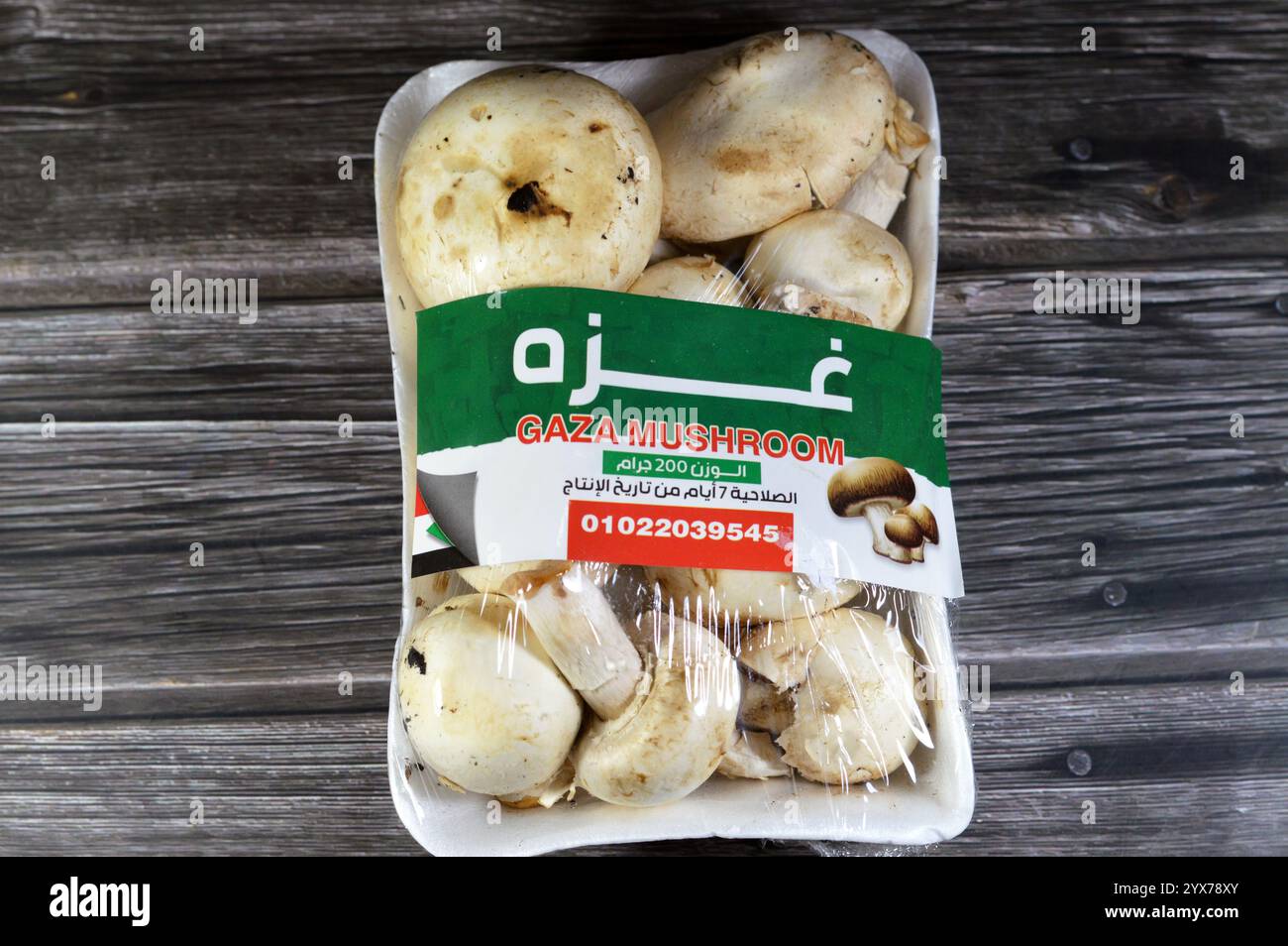 Cairo, Egypt, November 25 2024: Gaza Mushroom, Edible mushrooms, the ...
