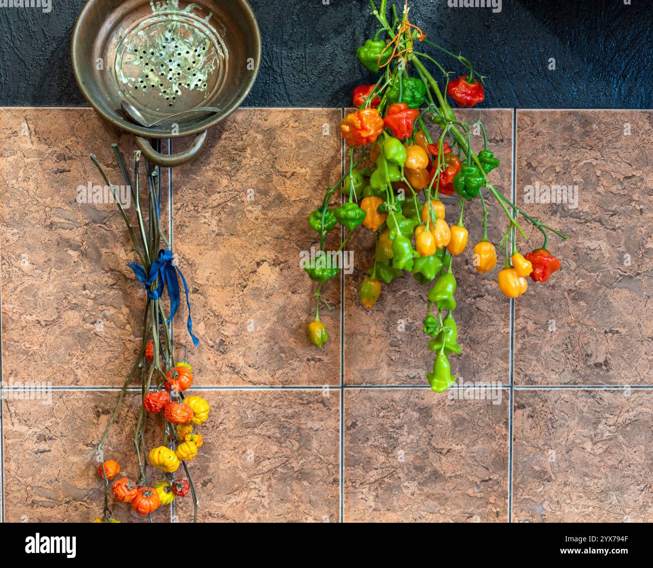 still life on the wall, colorful peppers of various shapes and colors ...