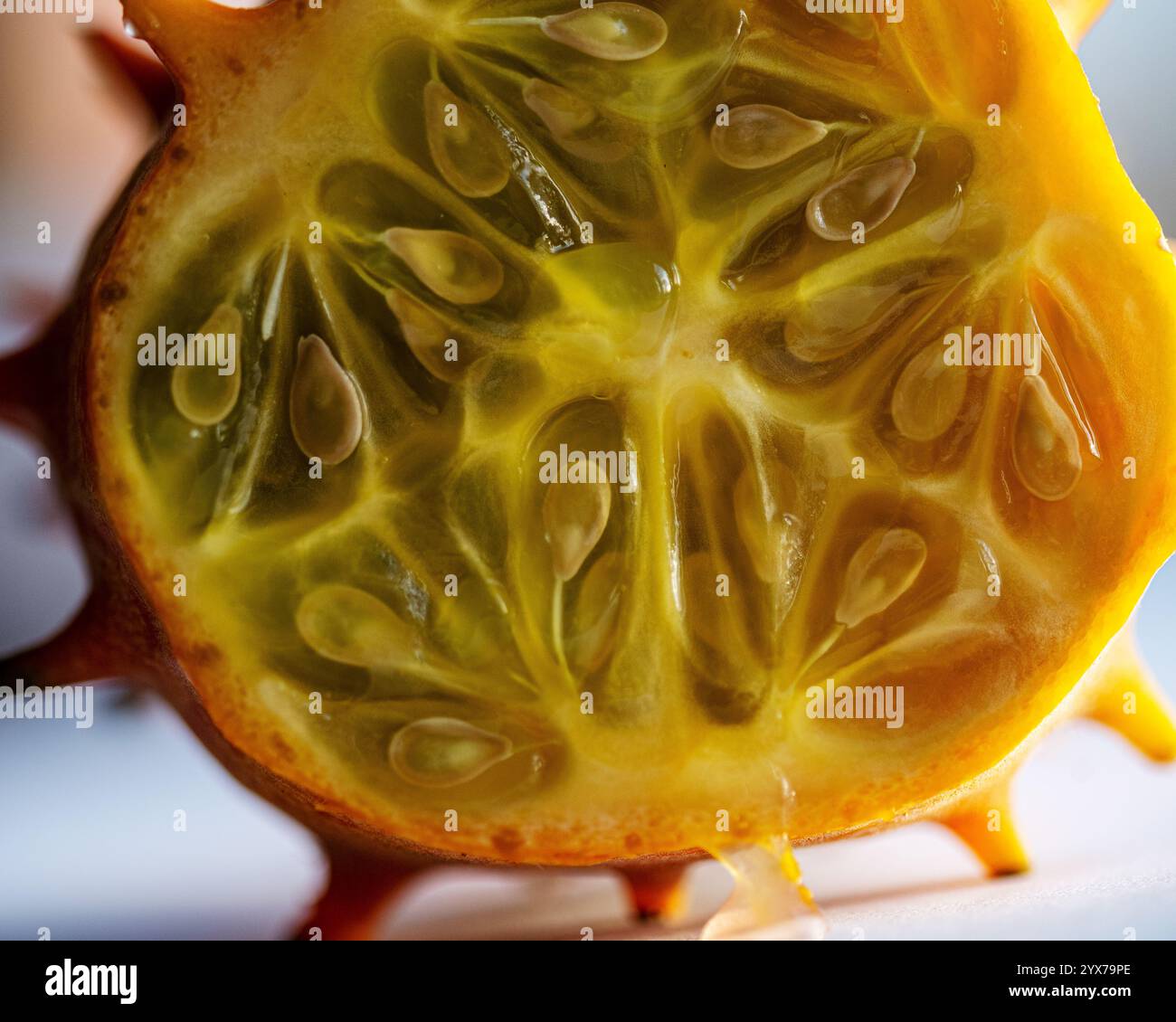 photo of a cutaway of Cucumis metuliferus, commonly known as African ...