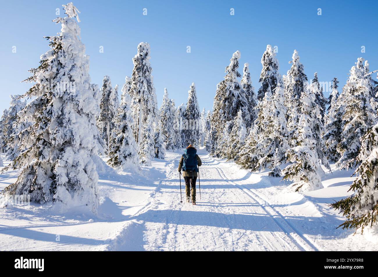 Frosty hiking trail hi-res stock photography and images - Alamy