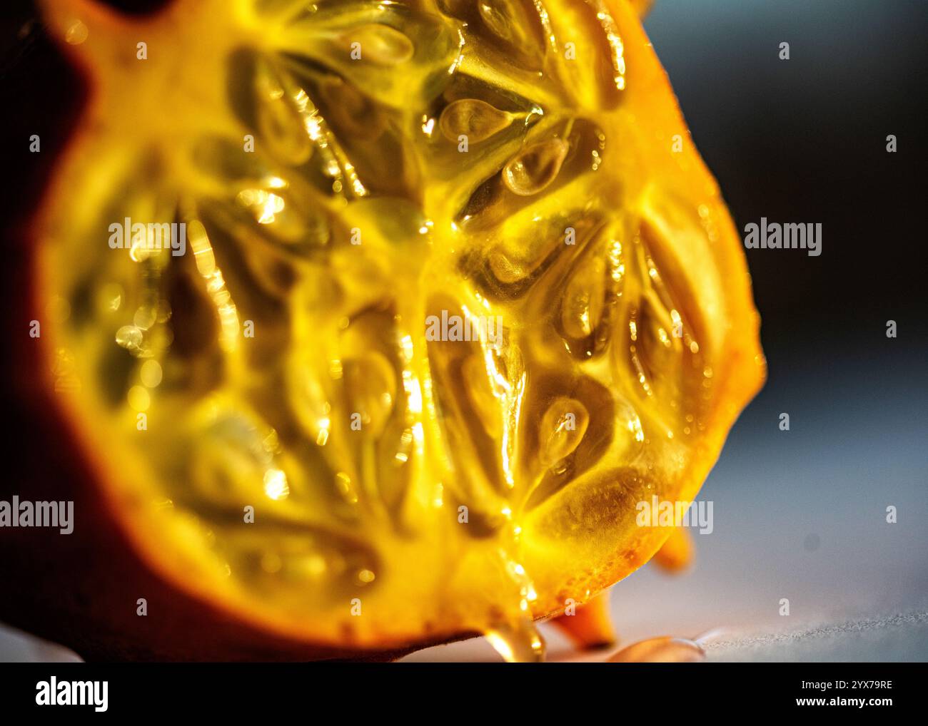 photo of a cutaway of Cucumis metuliferus, commonly known as African ...
