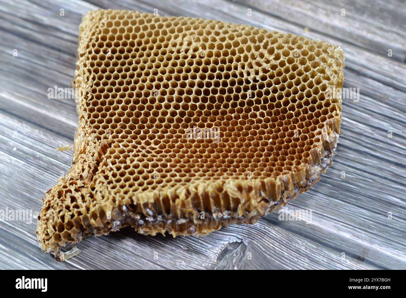 honeycomb, a mass of hexagonal prismatic cells built from beeswax by ...